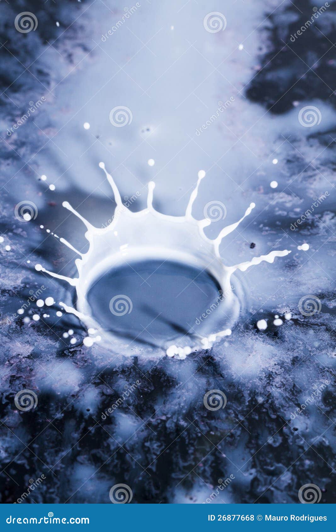 Milk droplet stock photo. Image of ripple, smooth, motion - 26877668