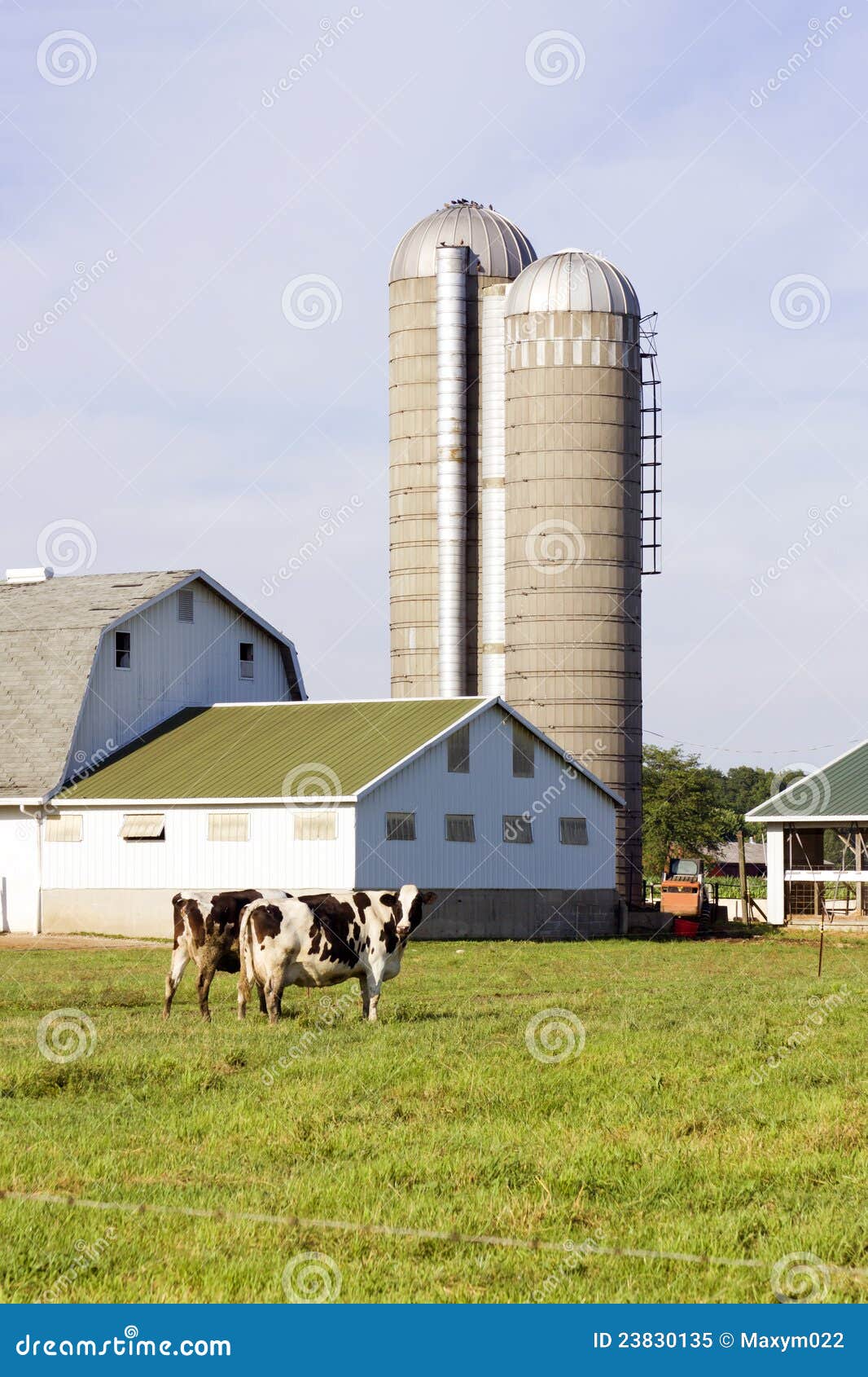 Milk Farm stock image. Image of field, building, silos - 23830135
