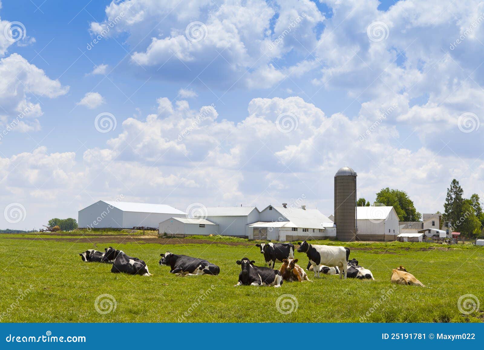 Milk Farm stock image. Image of animal, fence, roof, farm - 25191781
