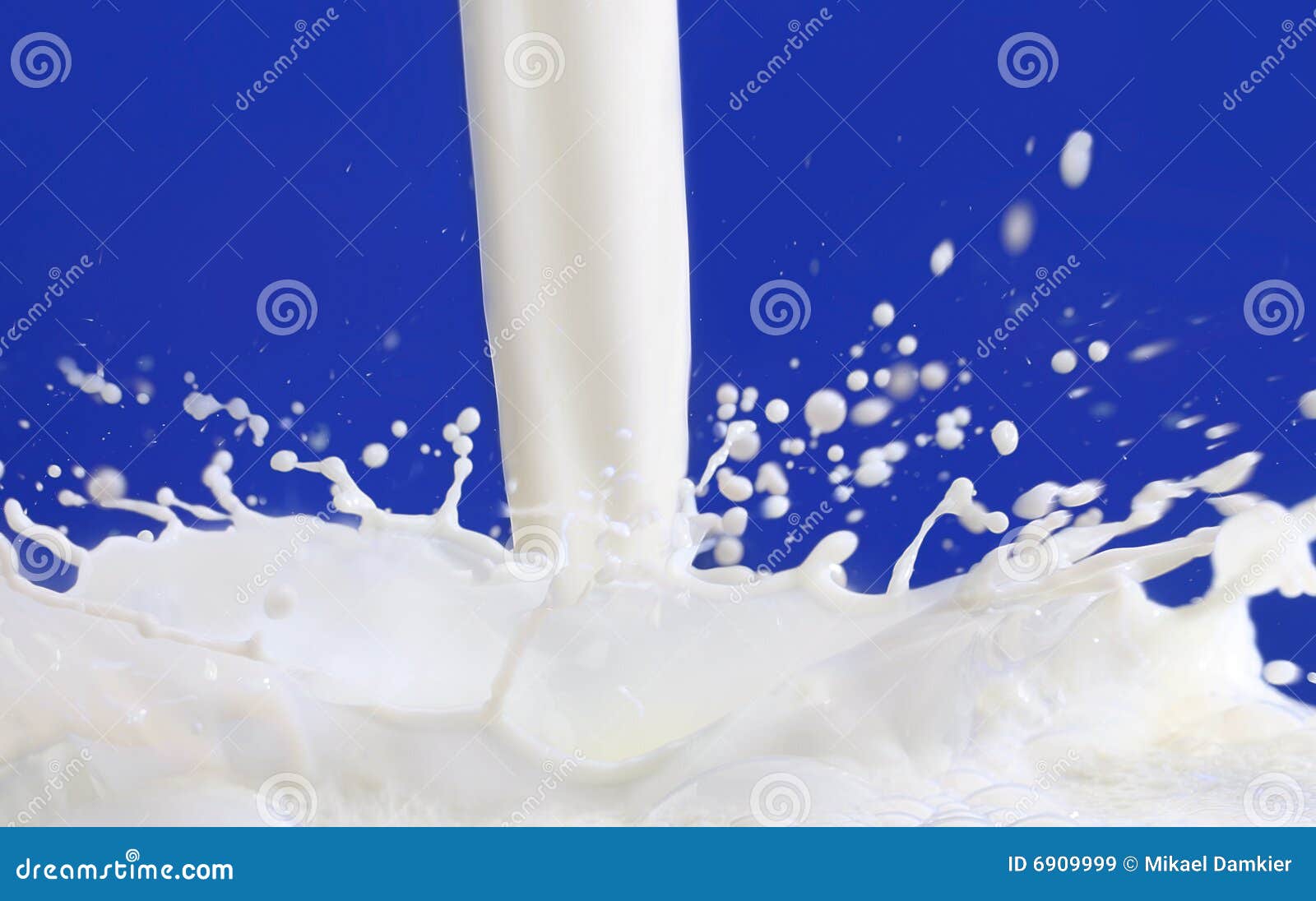 Milk Flowing with Blue Background Stock Image - Image of blue, beverage ...