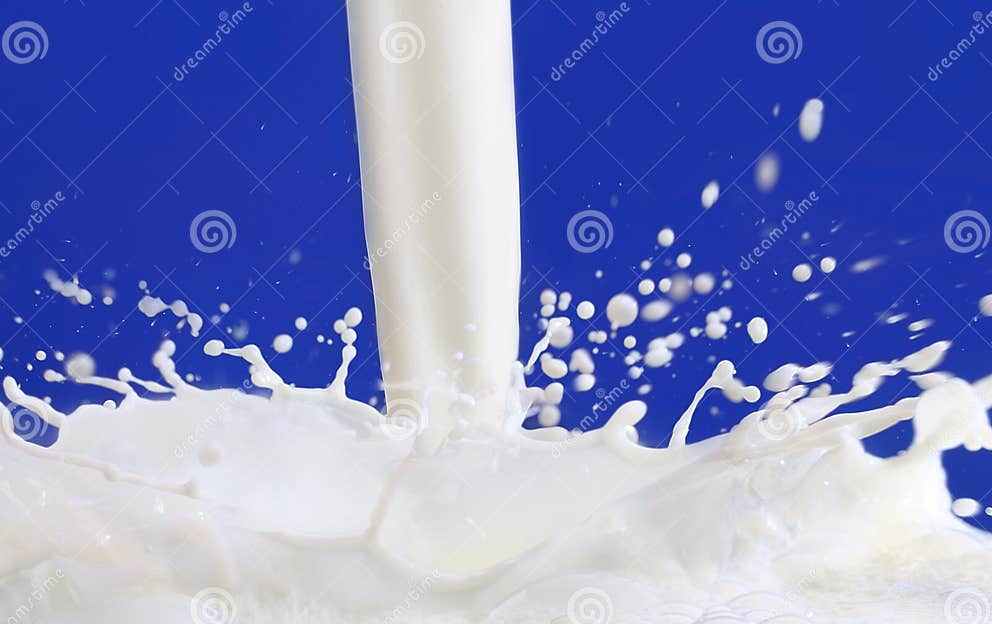 Milk Flowing with Blue Background Stock Image - Image of blue, beverage ...
