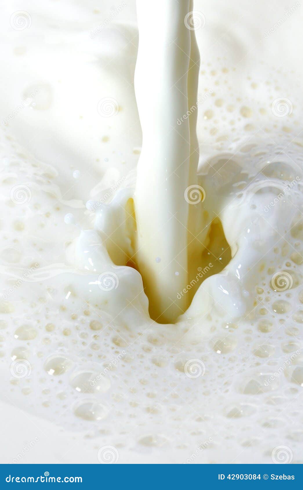 Milk stock photo. Image of healthy, fresh, detail, milk - 42903084