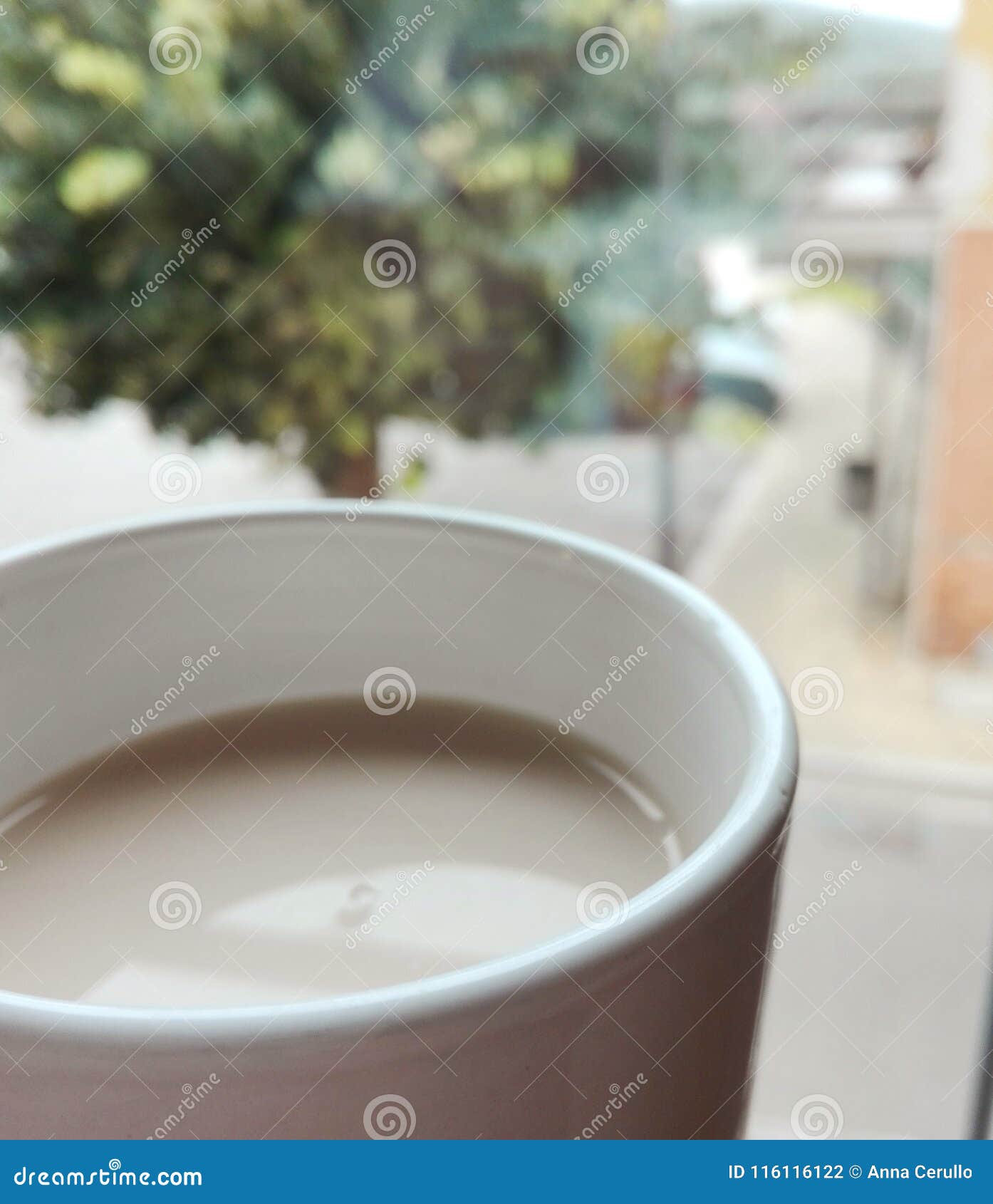 Milk stock photo. Image of tree, milk, coffee, morning - 116116122