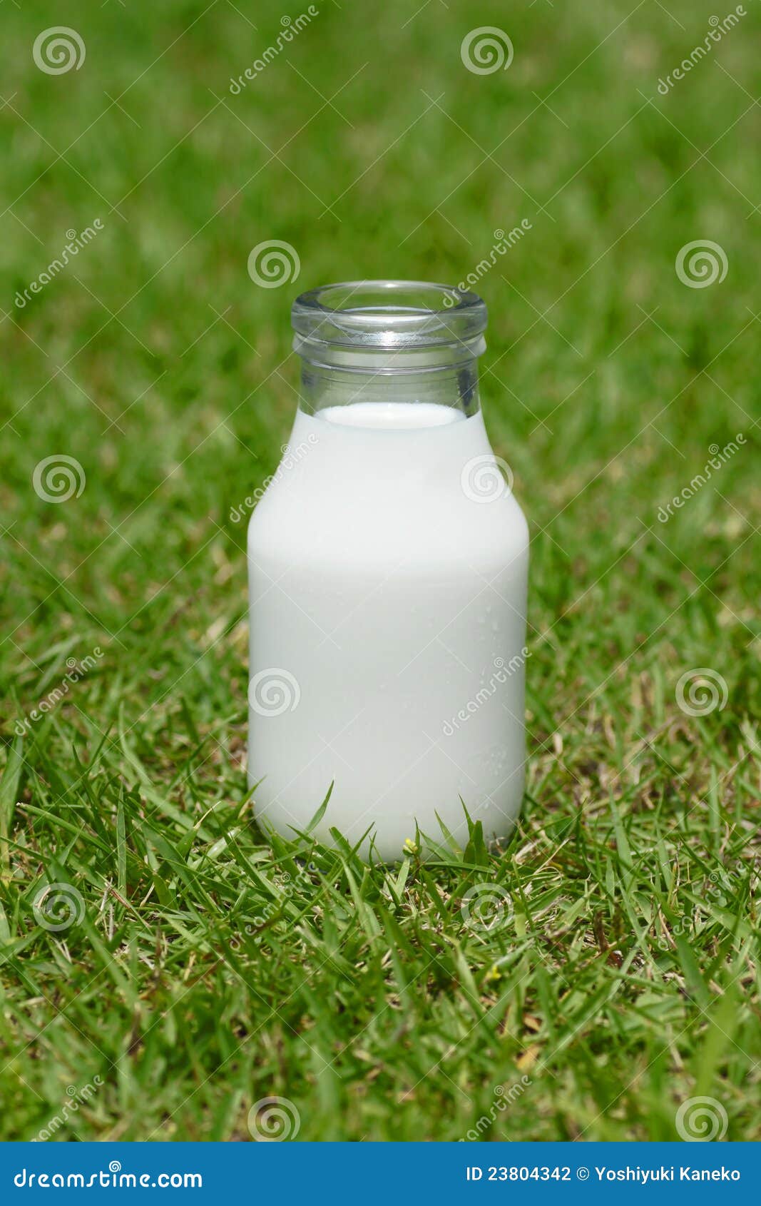 Milk on green field stock photo. Image of milk, food - 23804342