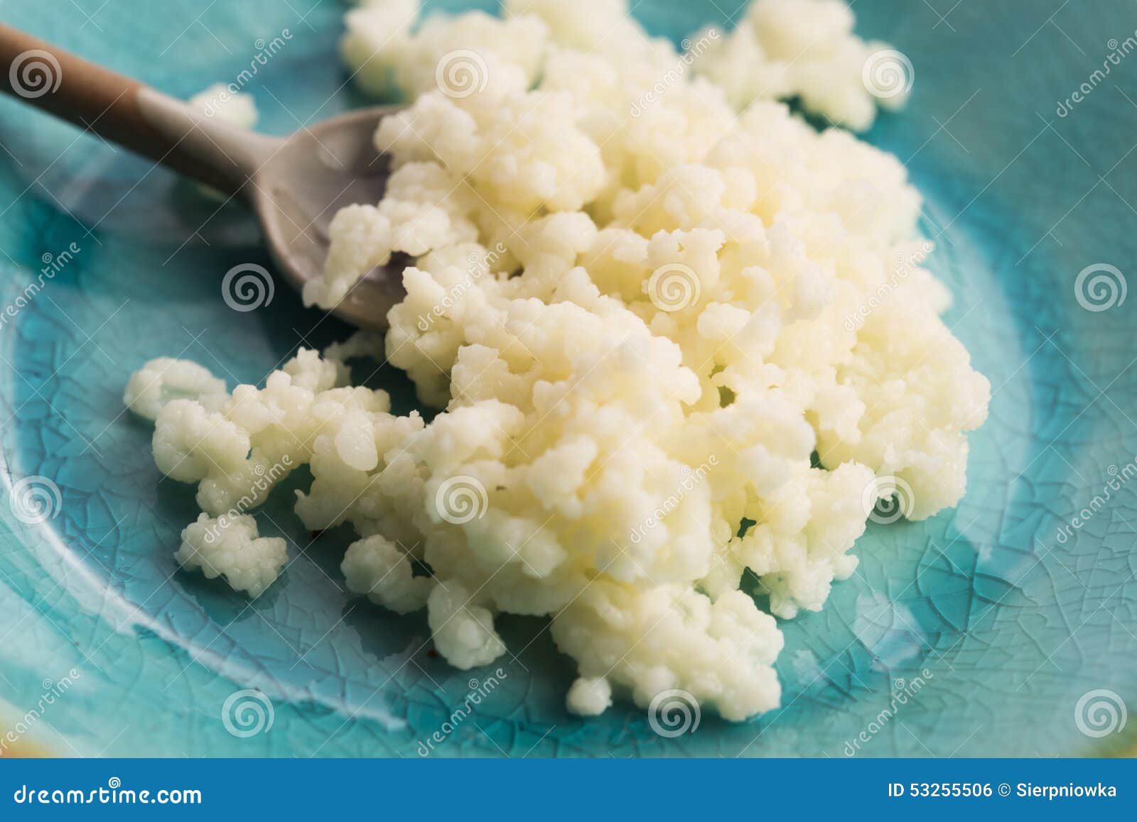 Milk kefir grains stock photo. Image of fermented, mushroom - 53255506