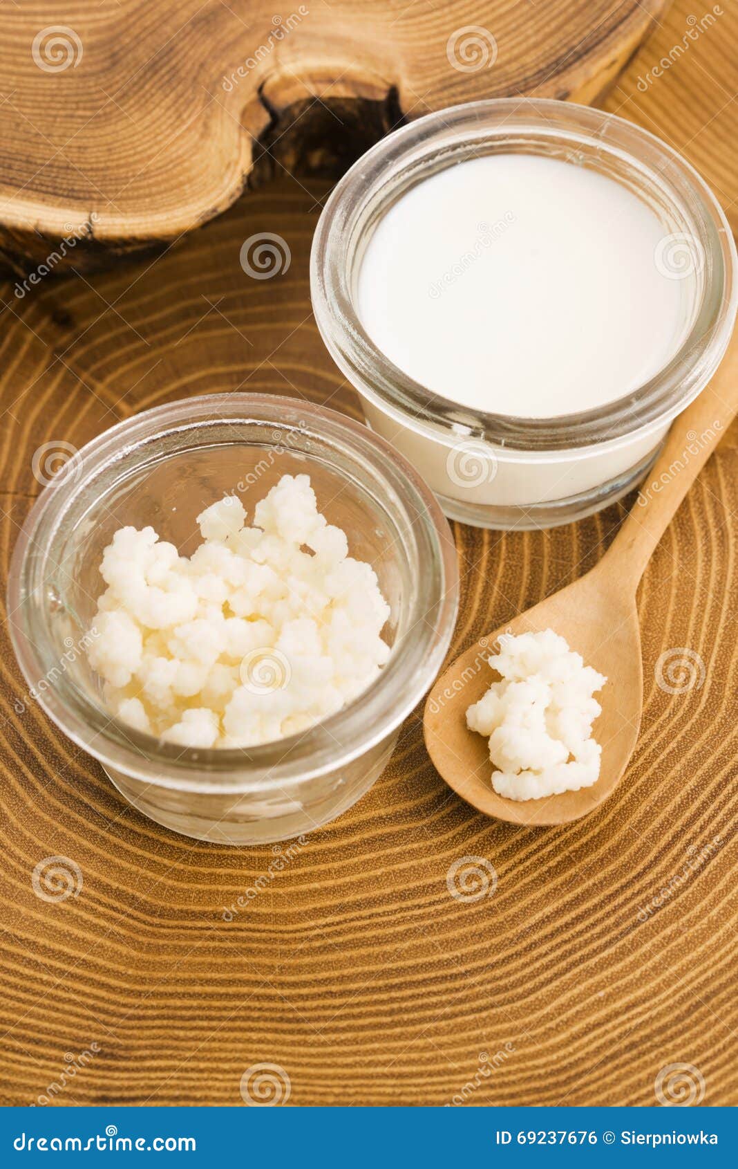 Milk kefir grains stock photo. Image of healthy, fermented - 69237676