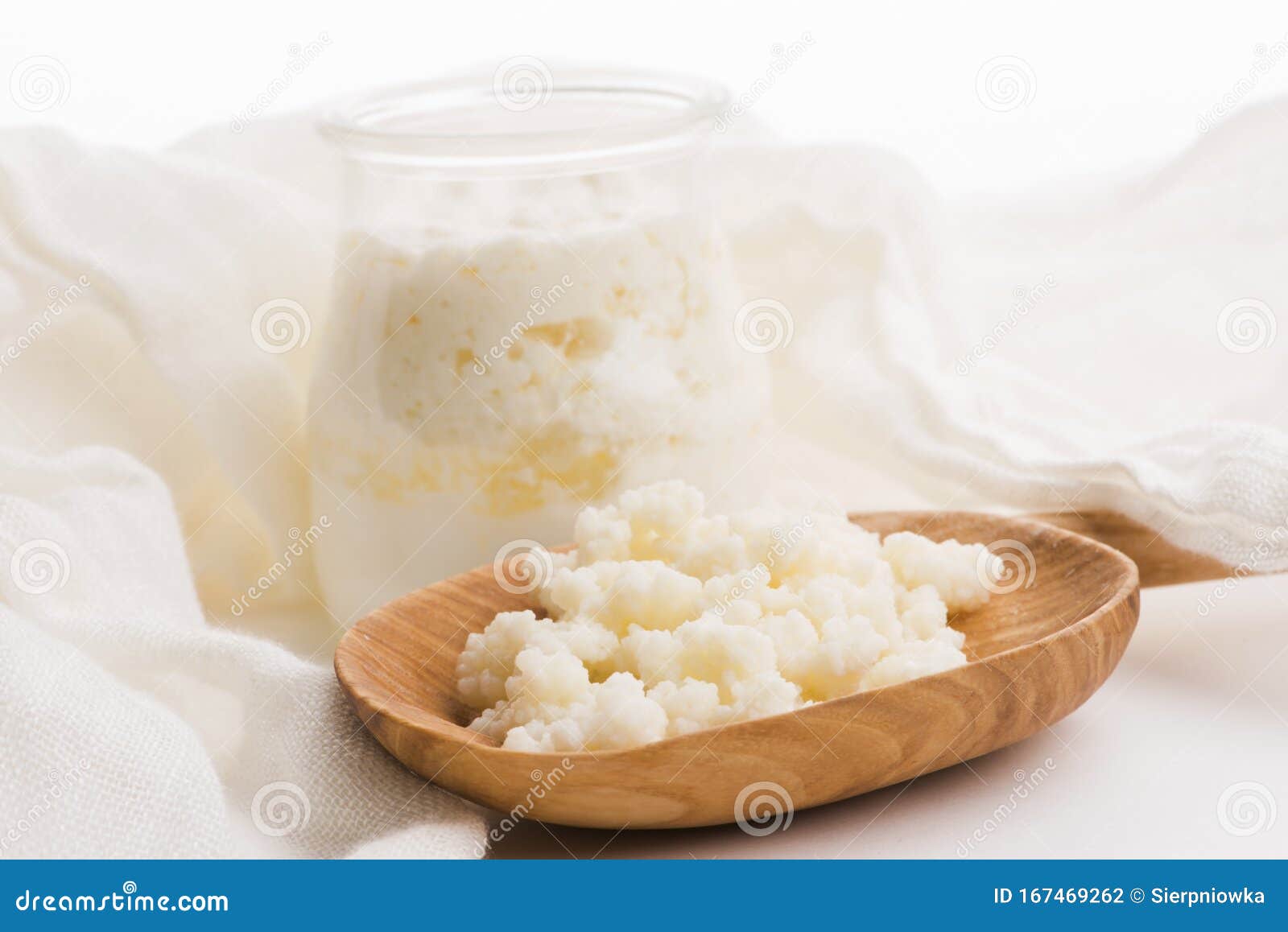 Milk Kefir Grains in Spoon. Yeast Bacterial Fermentation Starter Stock ...