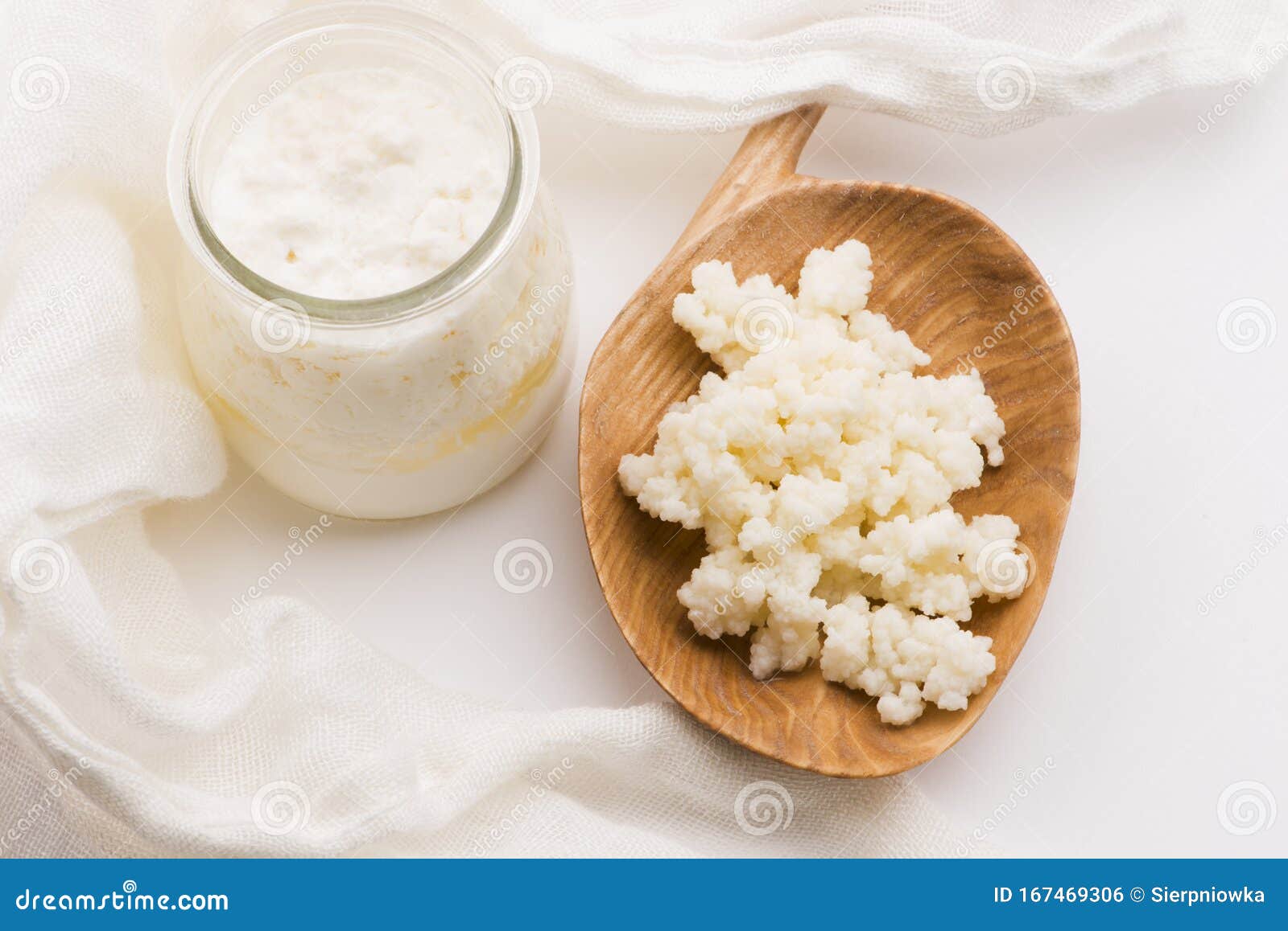 Milk Kefir Grains in Spoon. Yeast Bacterial Fermentation Starter Stock ...