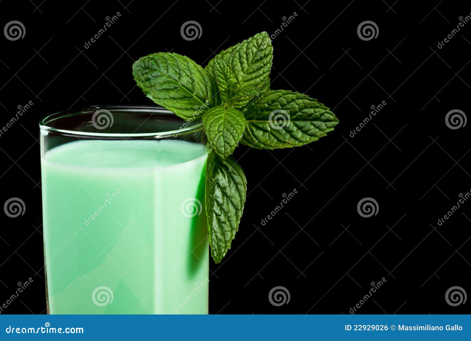 Milk and mint stock photo. Image of products, fresh, leaf - 22929026