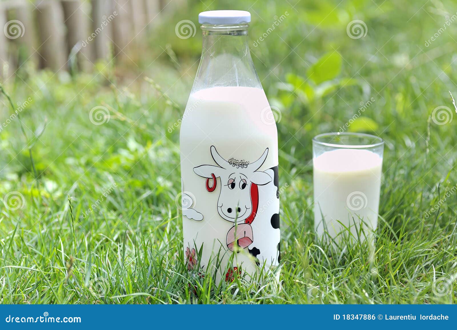 Milk in nature stock photo. Image of dairy, milk, medical - 18347886