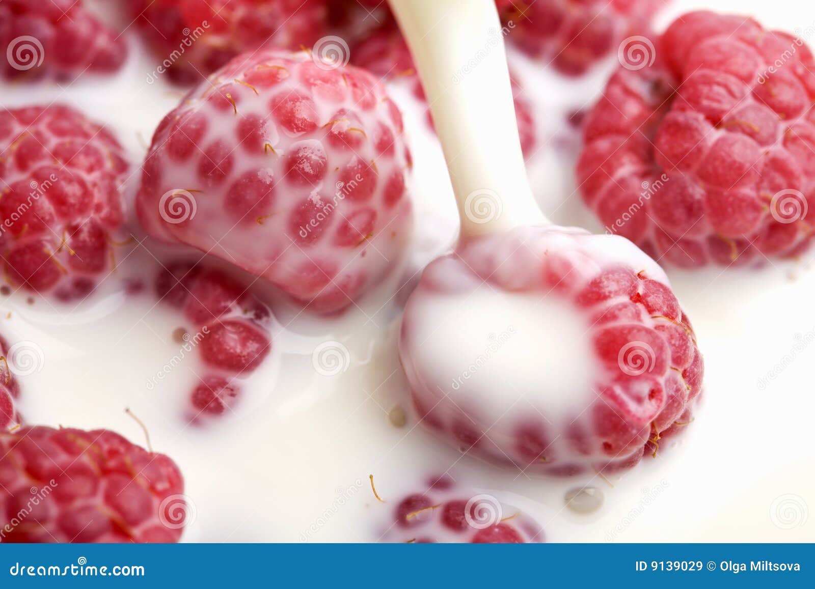 Milk Pouring Onto Fresh Raspberries Stock Image - Image of closeup ...