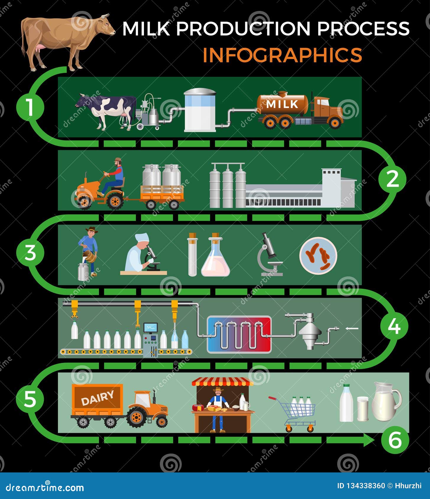 Milk production process stock vector. Illustration of agriculture ...