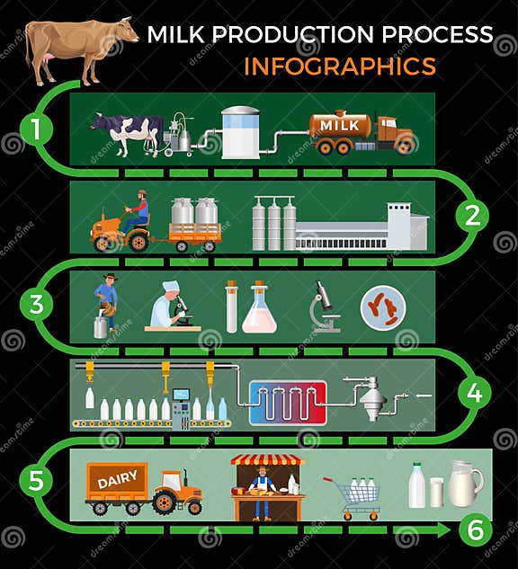 Milk production process stock vector. Illustration of agriculture ...