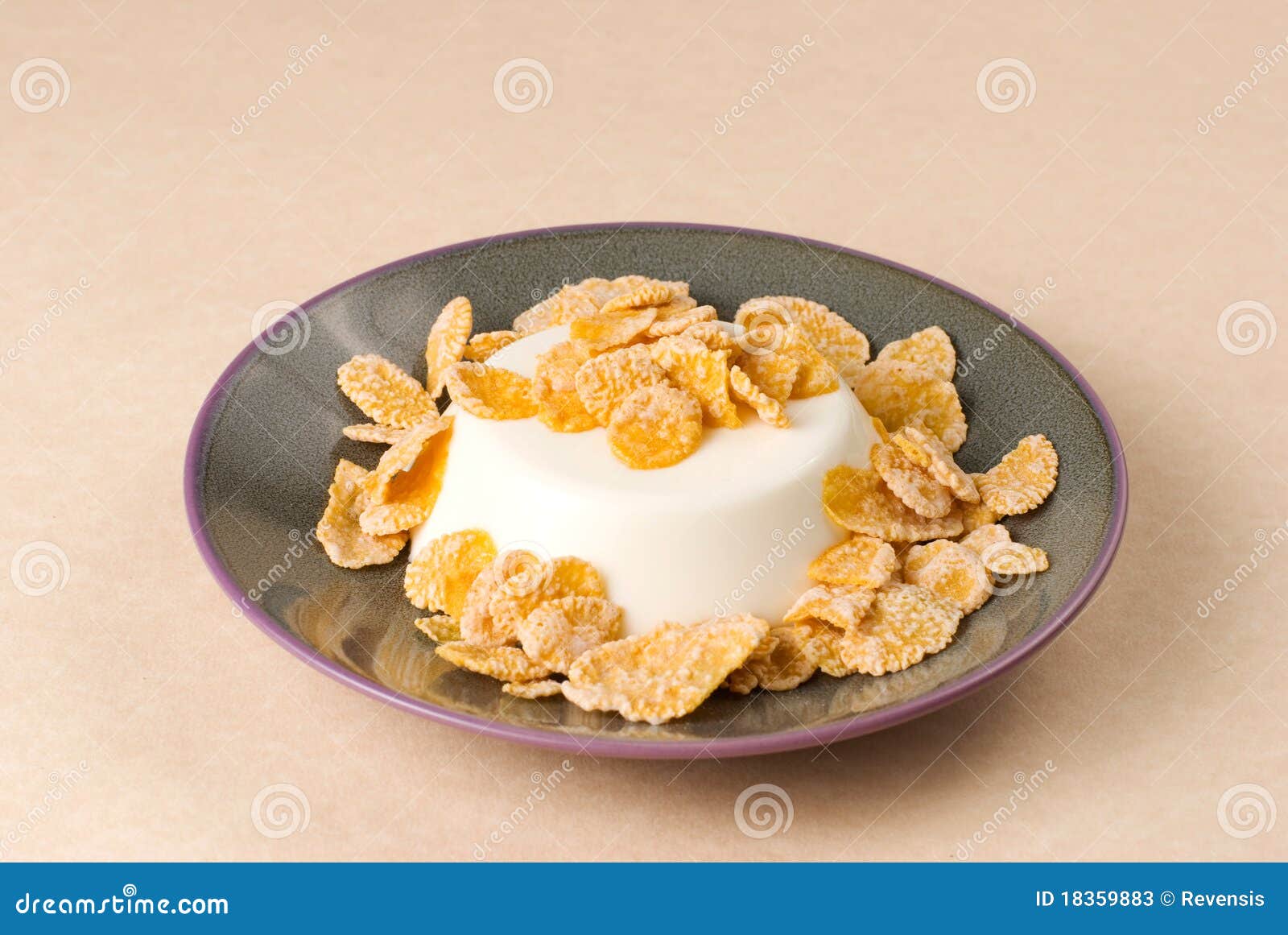 Milk Pudding with Sweet Crisp Stock Image - Image of cheese, panna ...