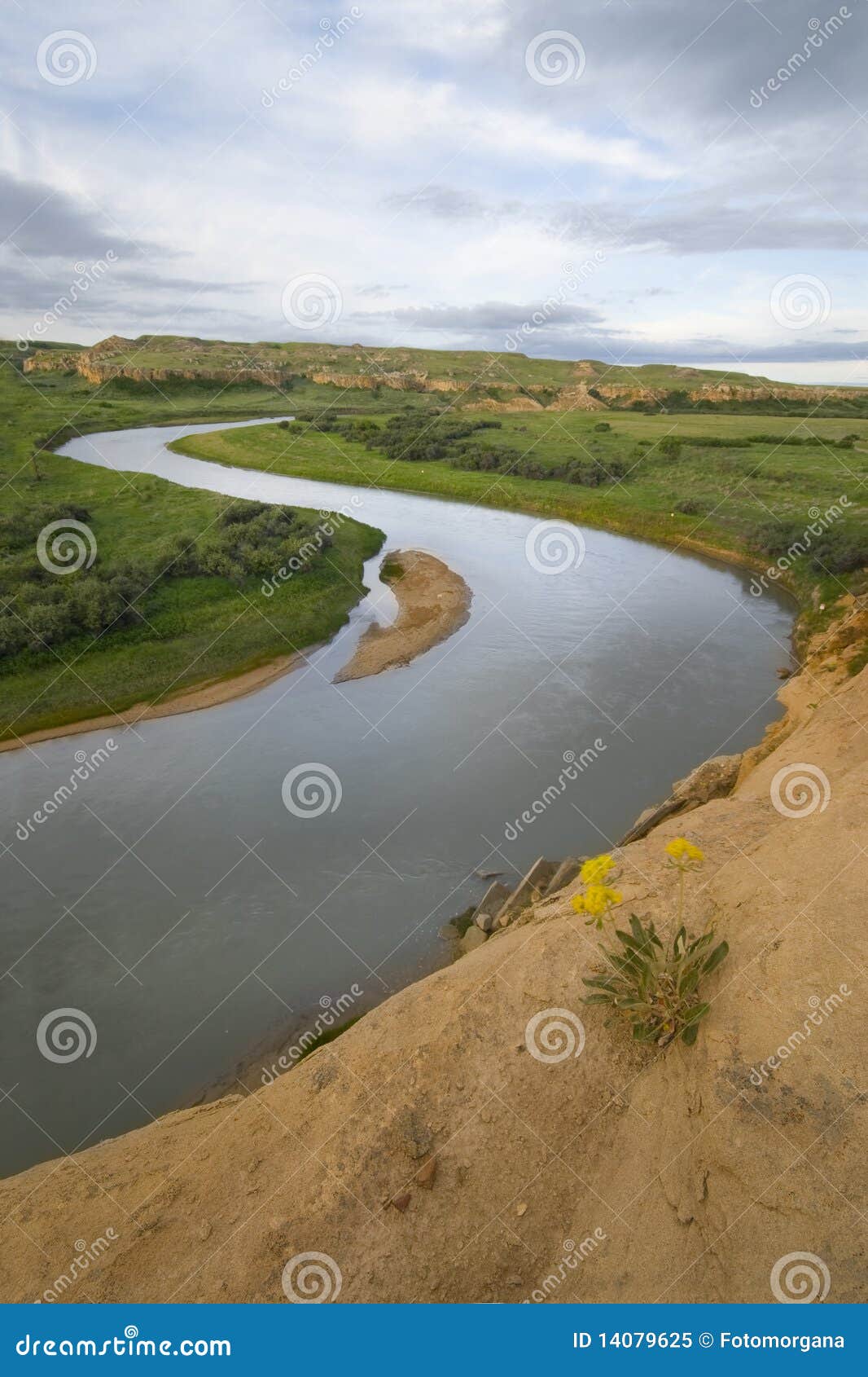 Milk River Winding through Prairie Stock Image - Image of grass ...