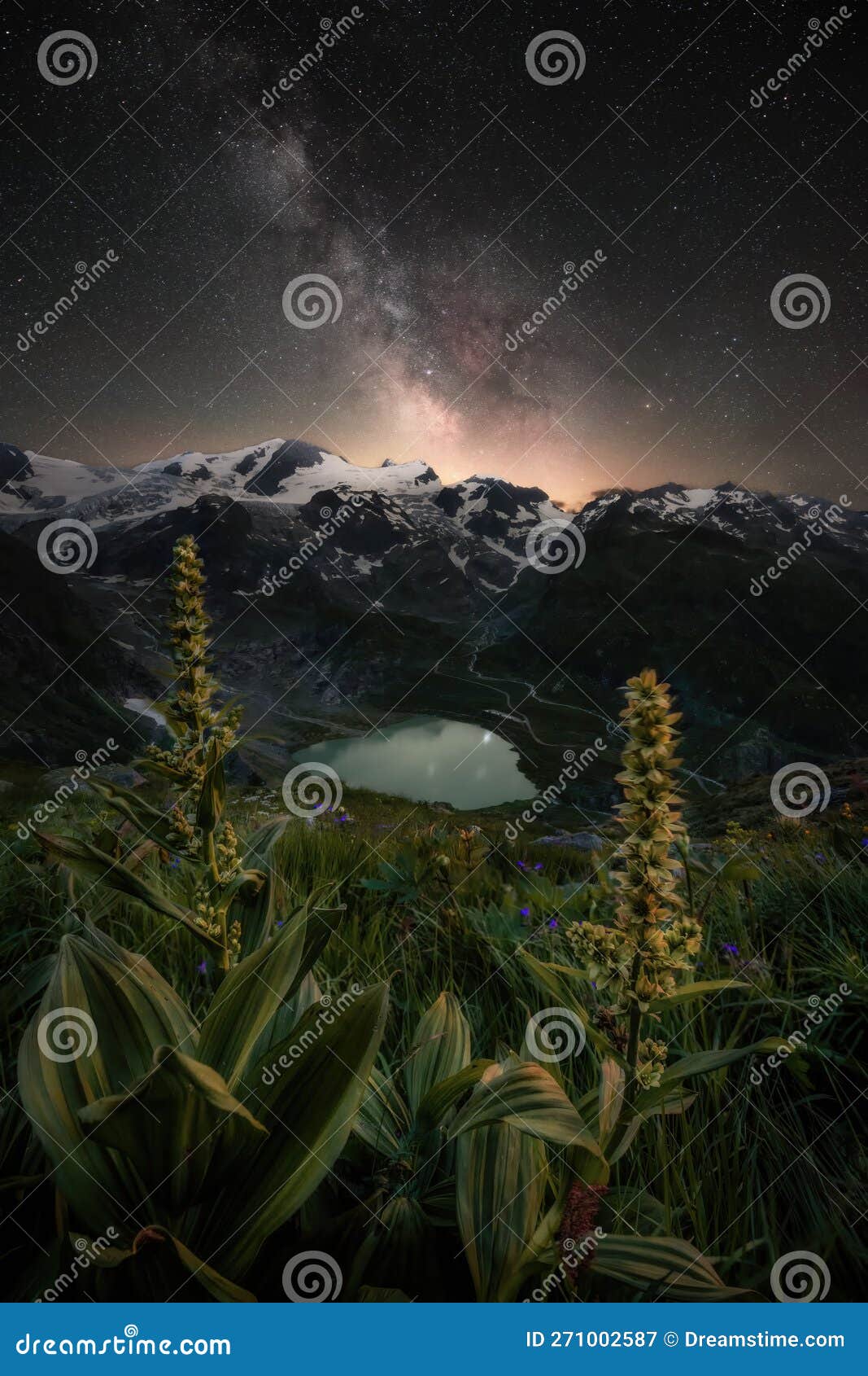 Milk Road Over the Mountains of Switzerland Stock Image - Image of ...