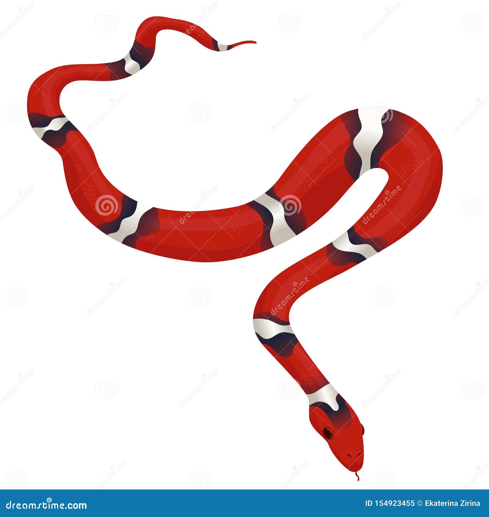 Milk Snake Cartoon Background Seamless Wallpaper Vector Illustration ...