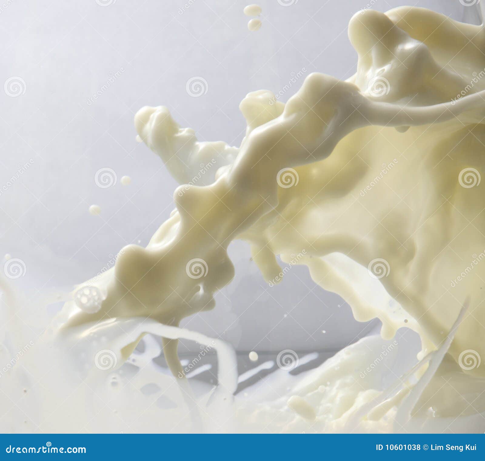 Milk splash stock photo. Image of milk, eating, drop - 10601038