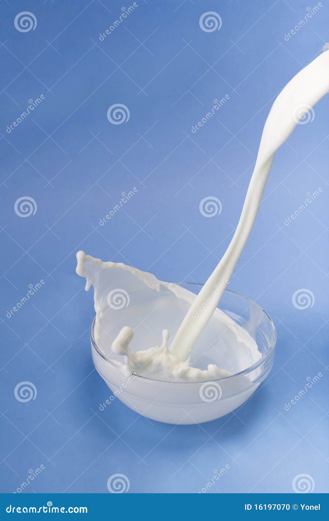 Milk splash. stock photo. Image of composition, drip - 16197070