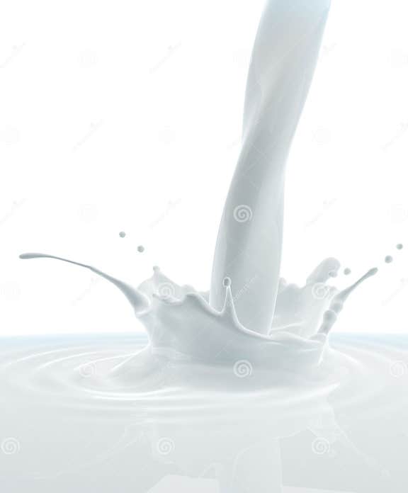 Milk Splash stock photo. Image of liquid, milk, drink - 16387074