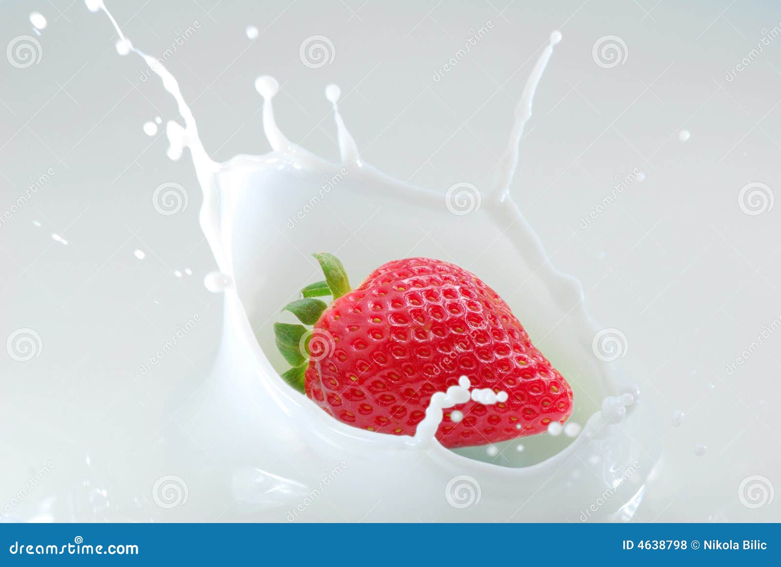 Milk Splash stock photo. Image of beverage, closeup, still - 4638798