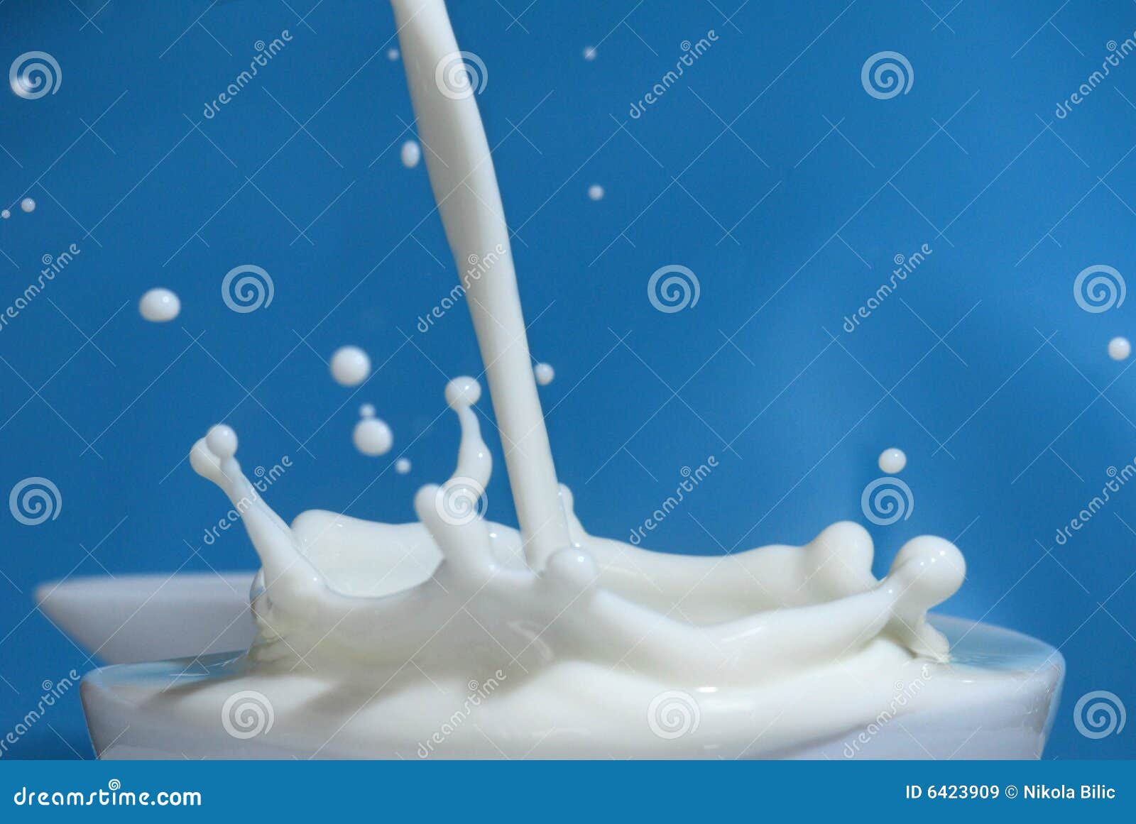 Milk Splash stock image. Image of closeup, splash, beverage - 6423909