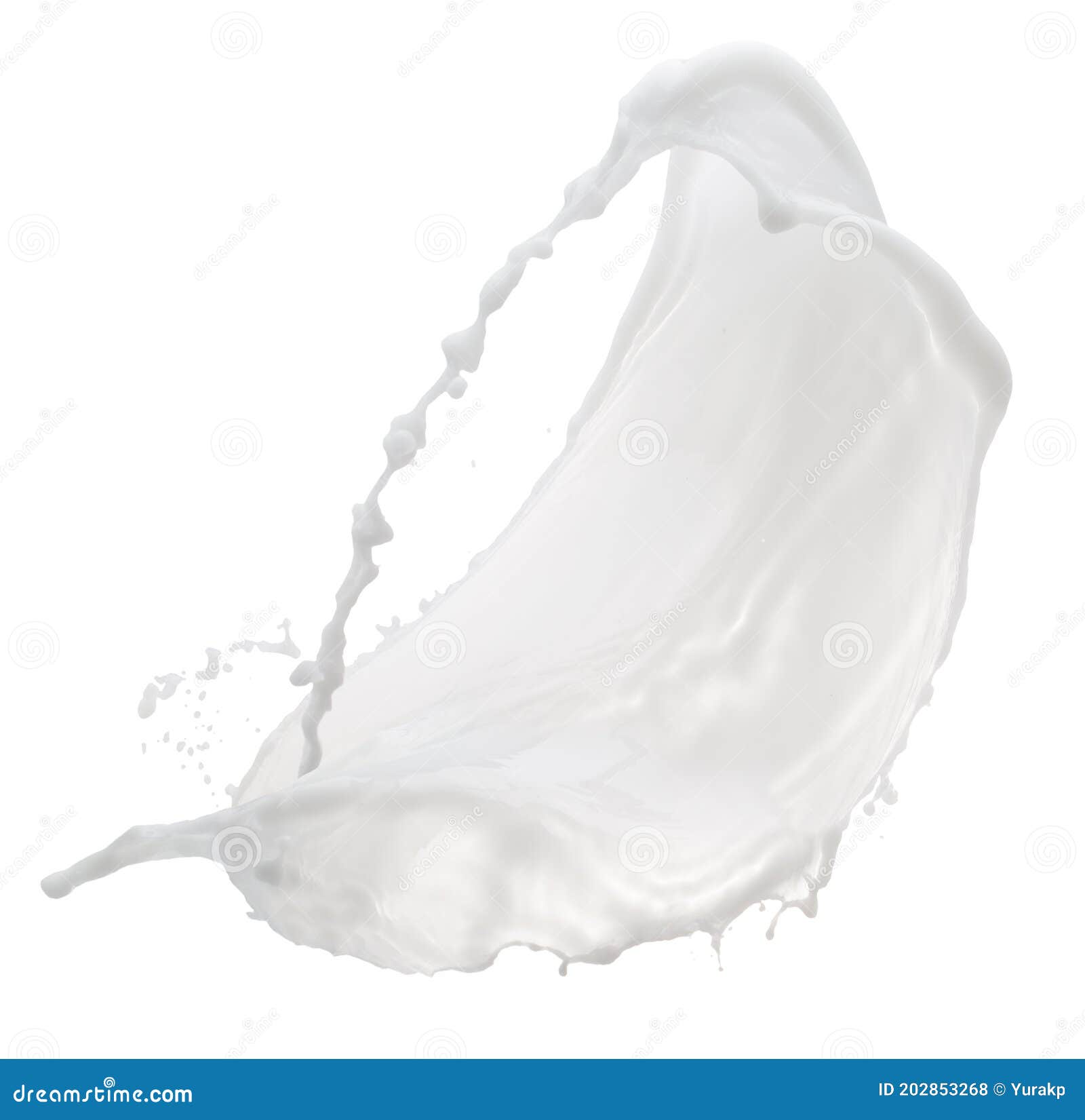 Milk Splash Isolated on a White Background Stock Photo - Image of ...