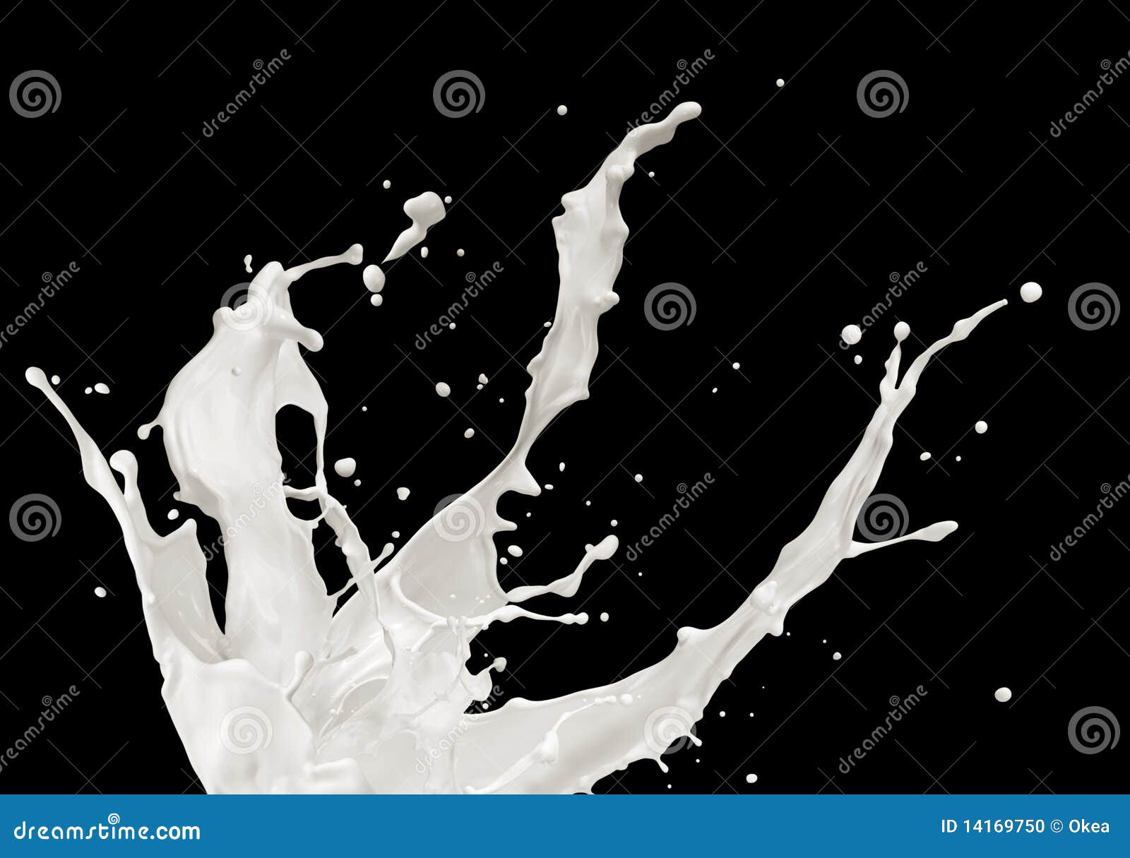 Milk splashing stock photo. Image of black, drop, liquid - 14169750