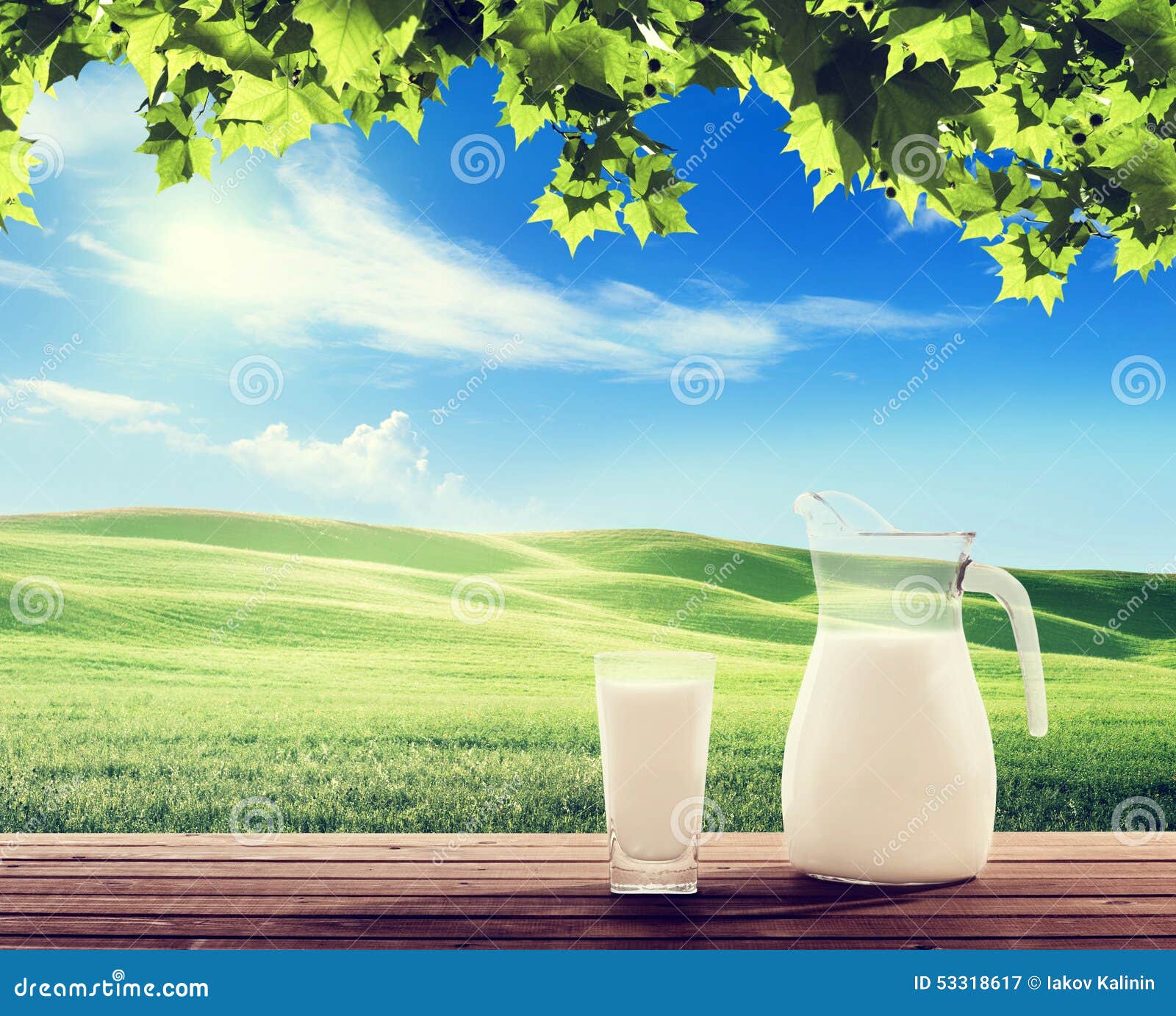 Milk and Sunny Spring Field Stock Image - Image of nature, milk: 53318617