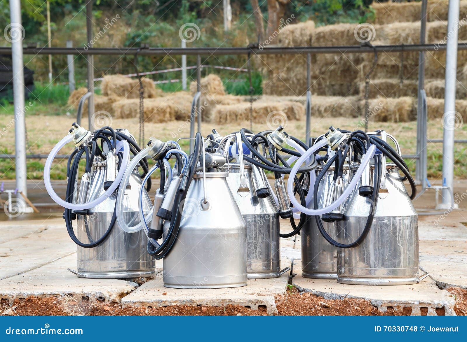 Milk tank stock photo. Image of business, industrial - 70330748