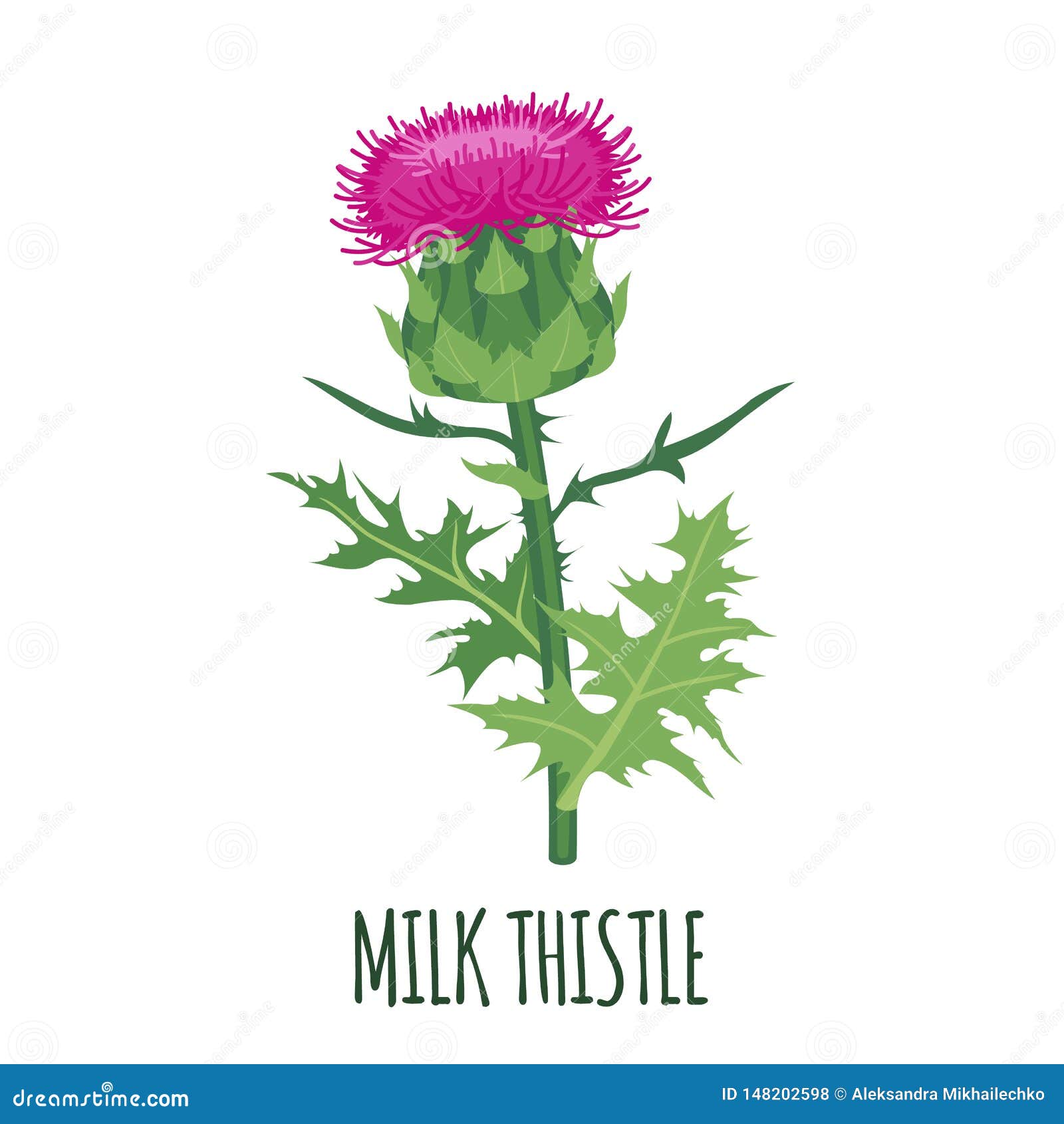 Milk Thistle Icon In Flat Style Isolated On White Stock Vector