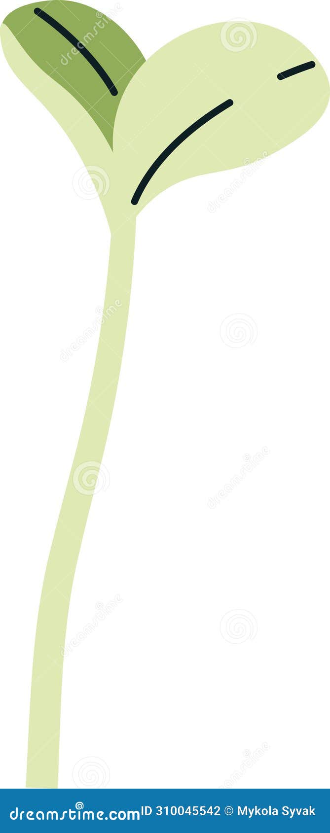 Milk Thistle Sprout stock vector. Illustration of herb - 310045542