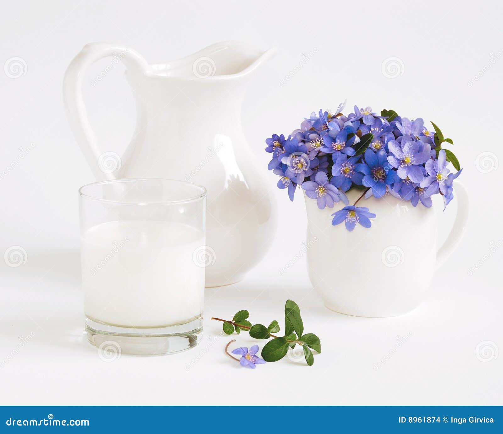 Milk and violets stock photo. Image of milk, violet, flowers - 8961874