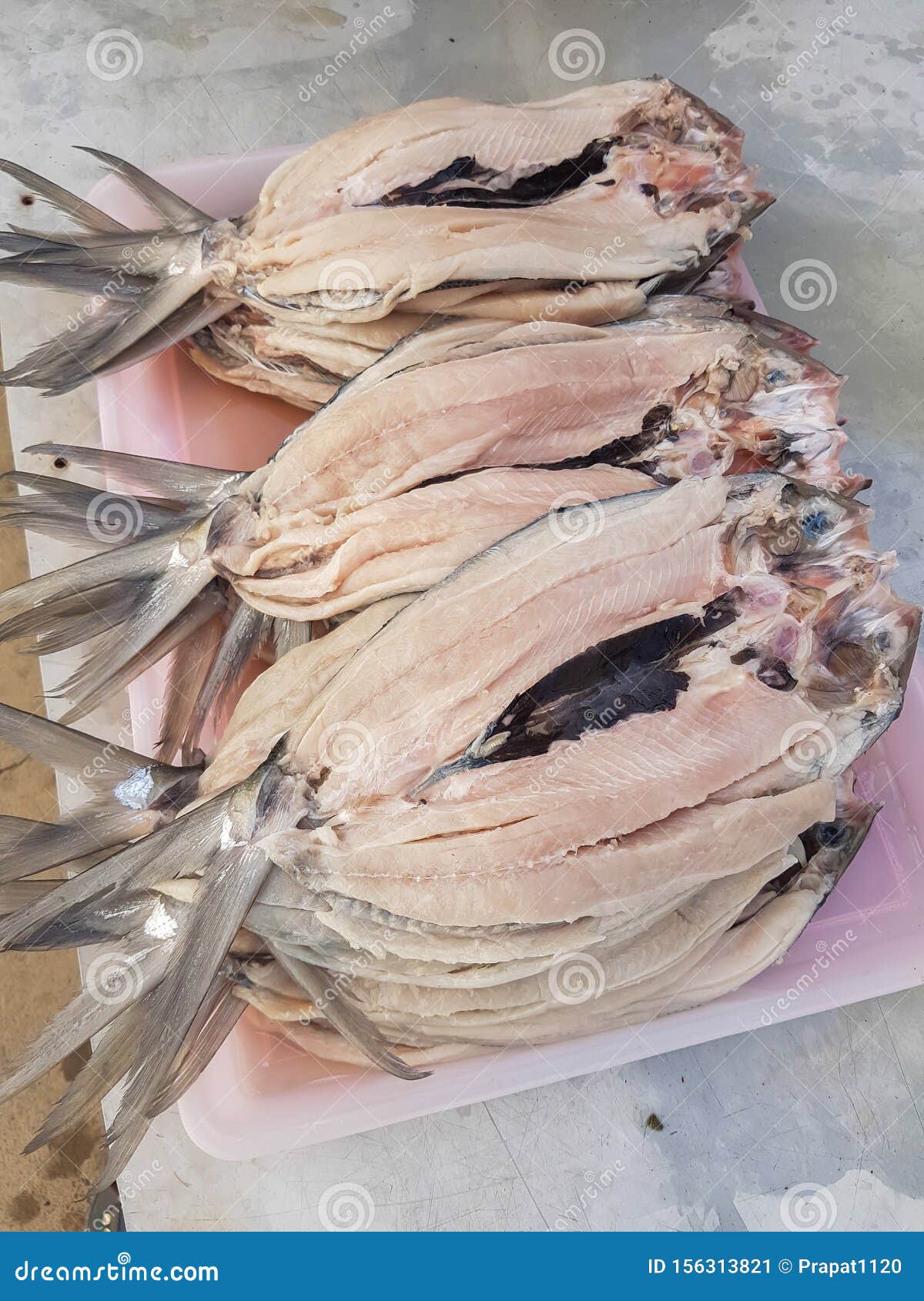 Milkfish stock image. Image of fish, milkfish, background - 156313821