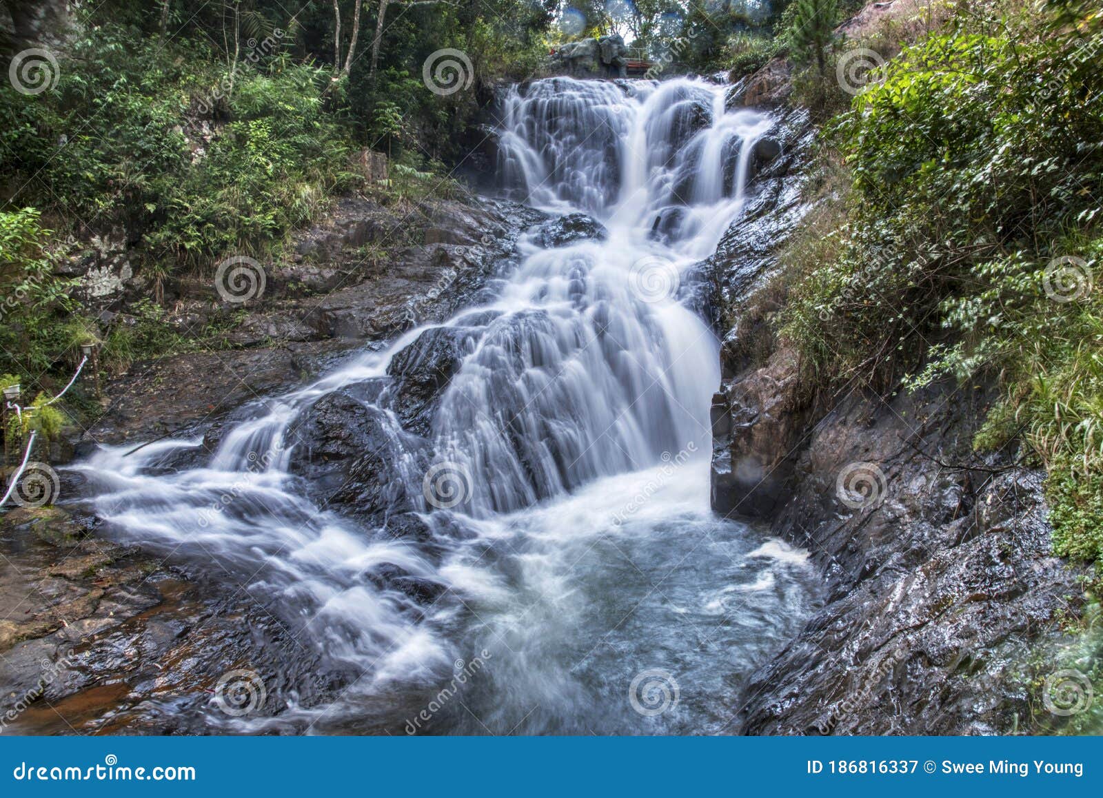 Milky of Stream Water Flowing Down Stock Image - Image of park, foliage ...