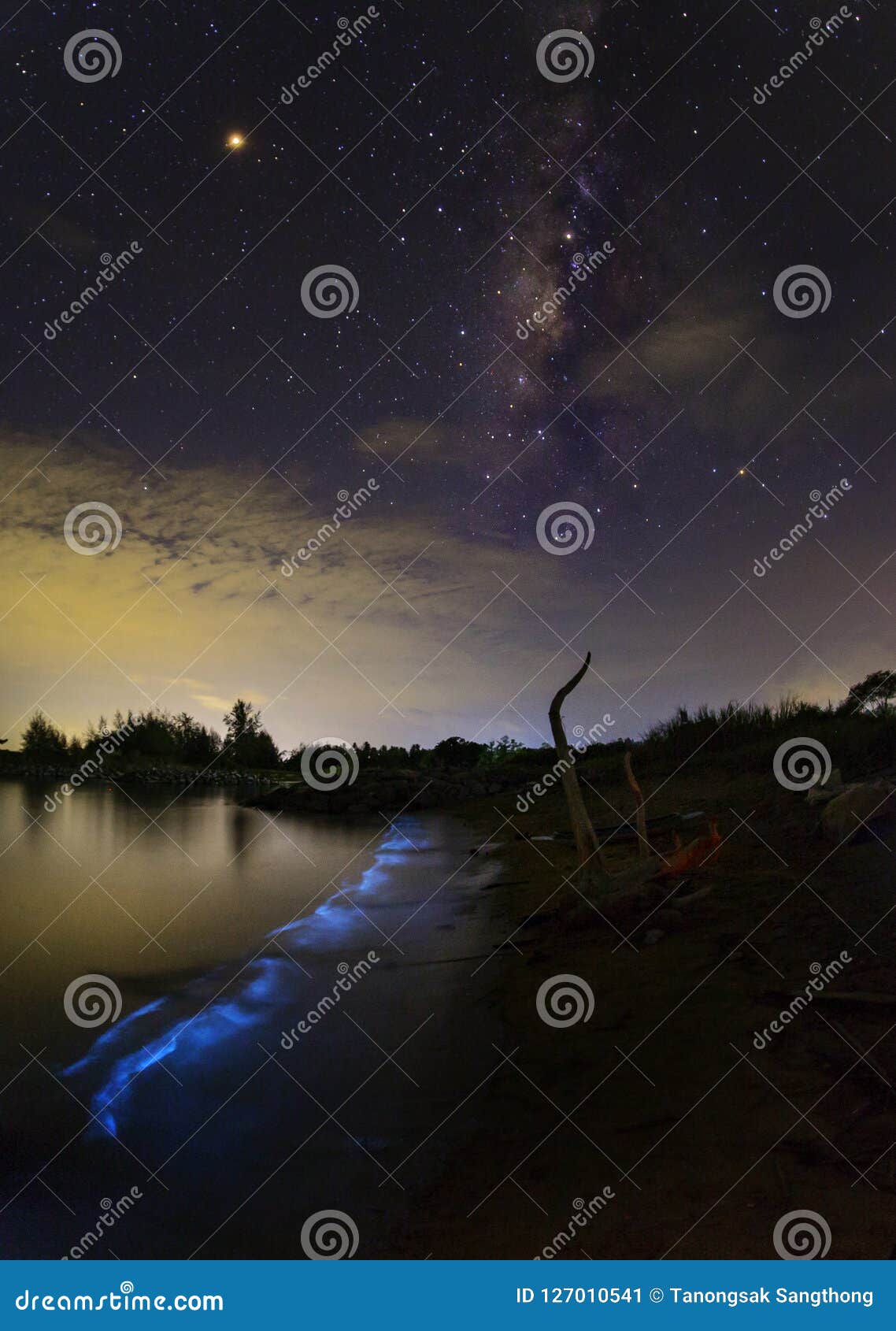 Milky Way and Blue Plankton Stock Image - Image of exposure, light ...