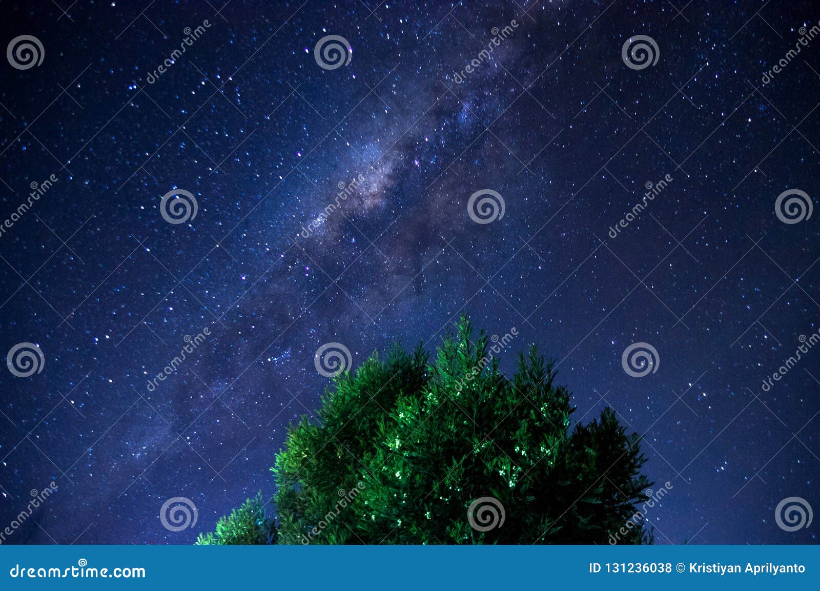 Milky Way Blue Stars Sky Tree Leaf Stock Photo - Image of clear, leaf ...