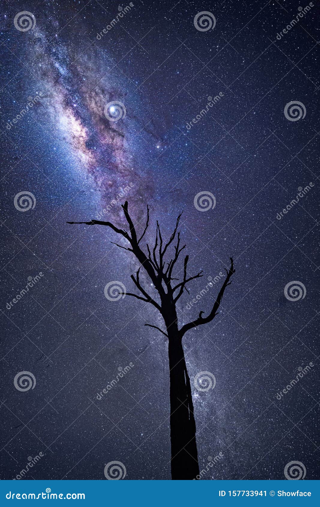 Milky Way Galactic Core Shining Brightly Over Old Dead Tree Stock Image ... Milky Way Galactic Core Shining Brightly Over Old Dead Tree Stock Image ...