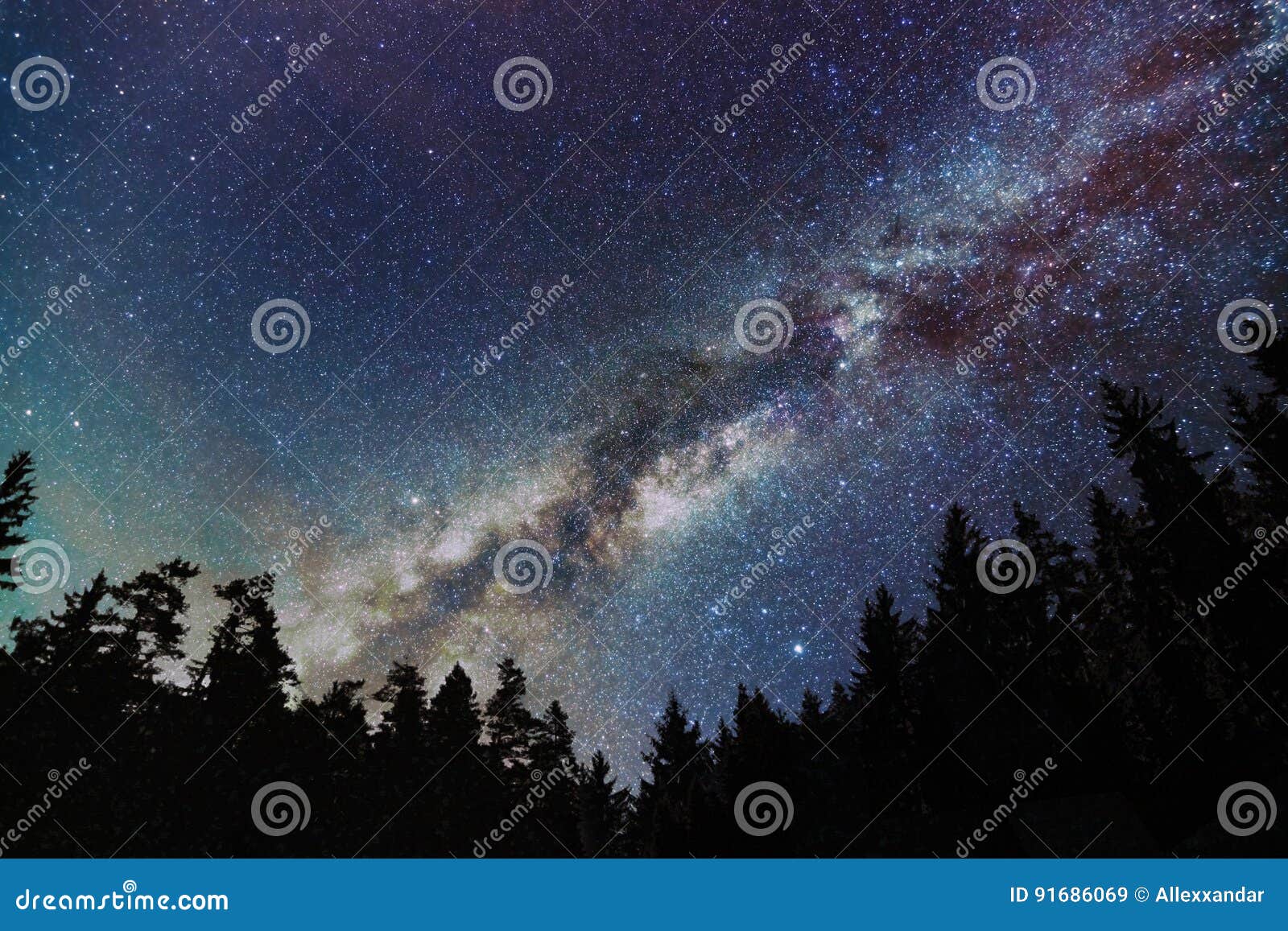Milky Way Galaxy, Starry Sky with Trees. Starry Night Stock Image ...