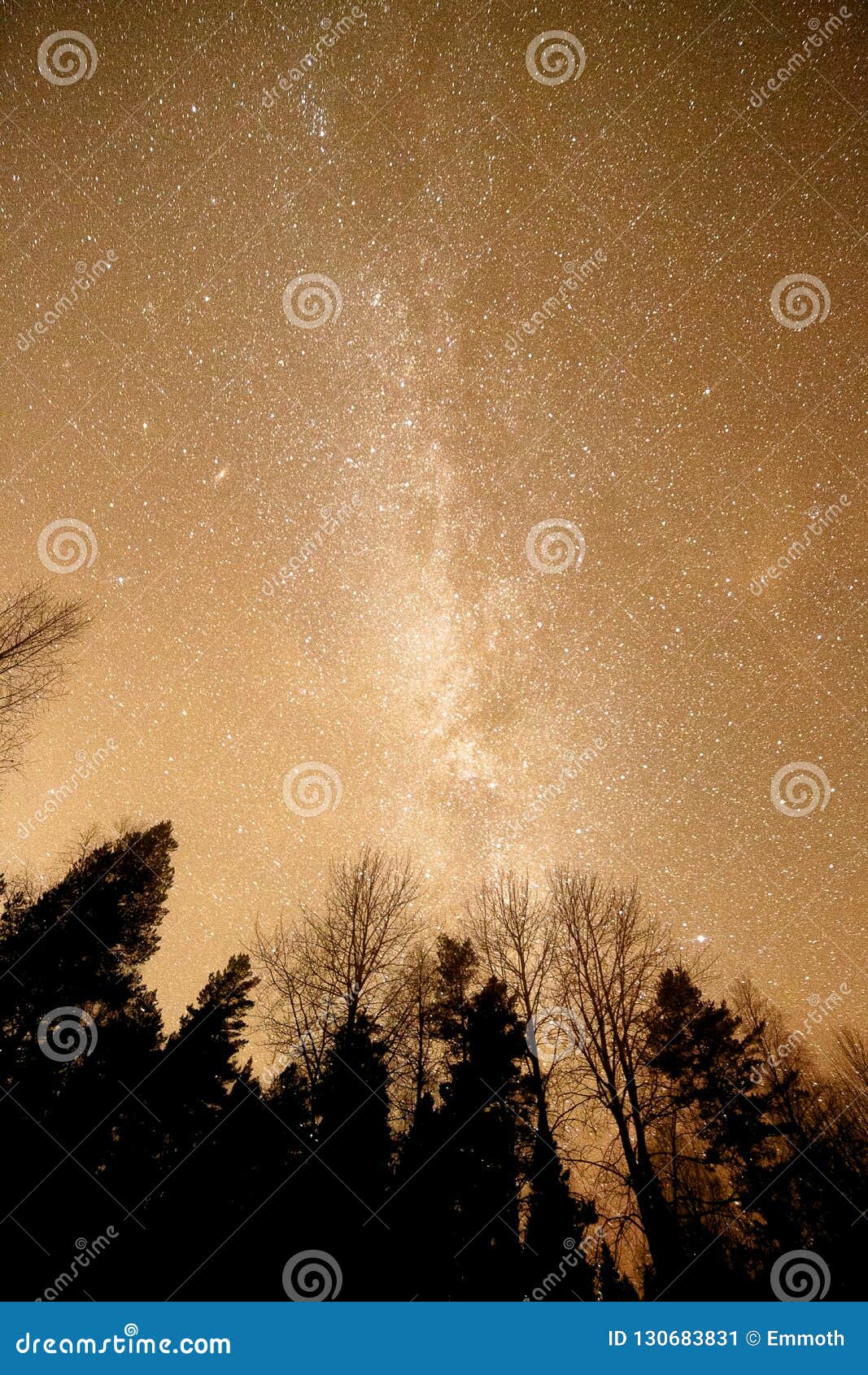 The Milky Way Galaxy with Trees Stock Image - Image of light, astro ...