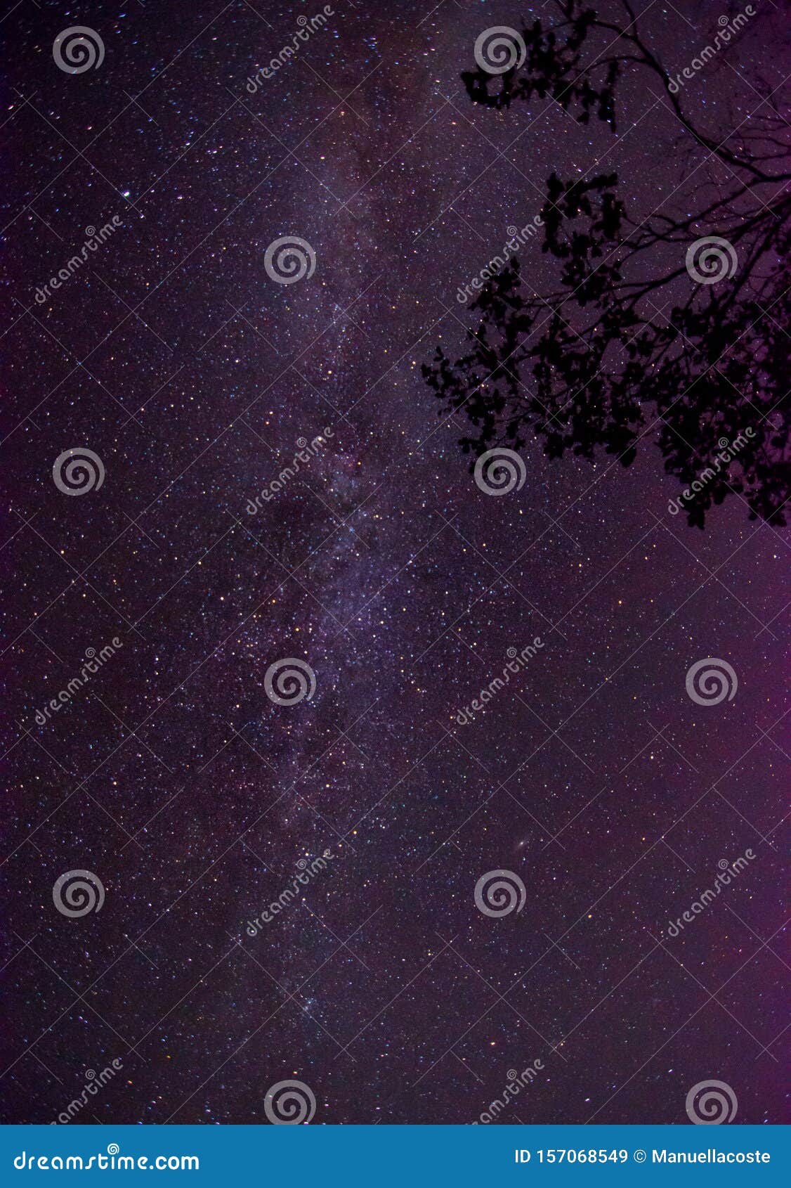 Milky Way Night Under a Tree Stock Image - Image of light ...