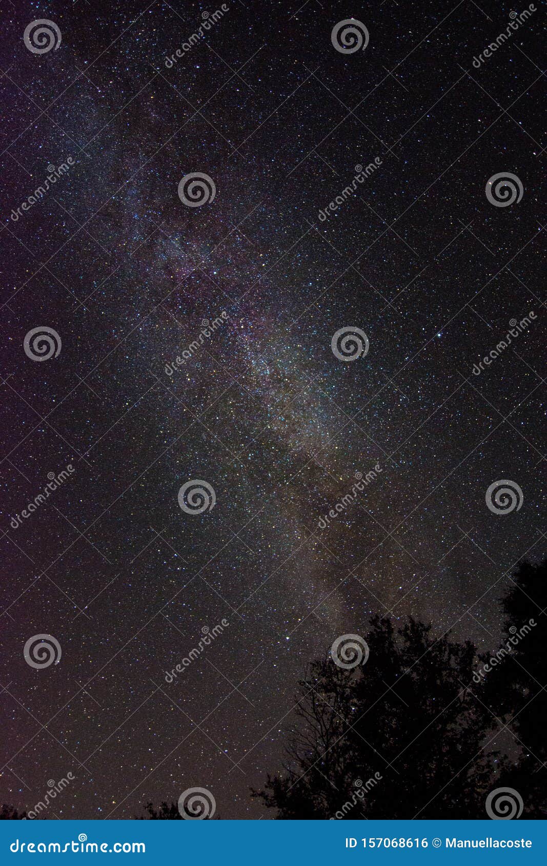 Milky Way Night Under a Tree Stock Photo - Image of astronomy, galaxy ...