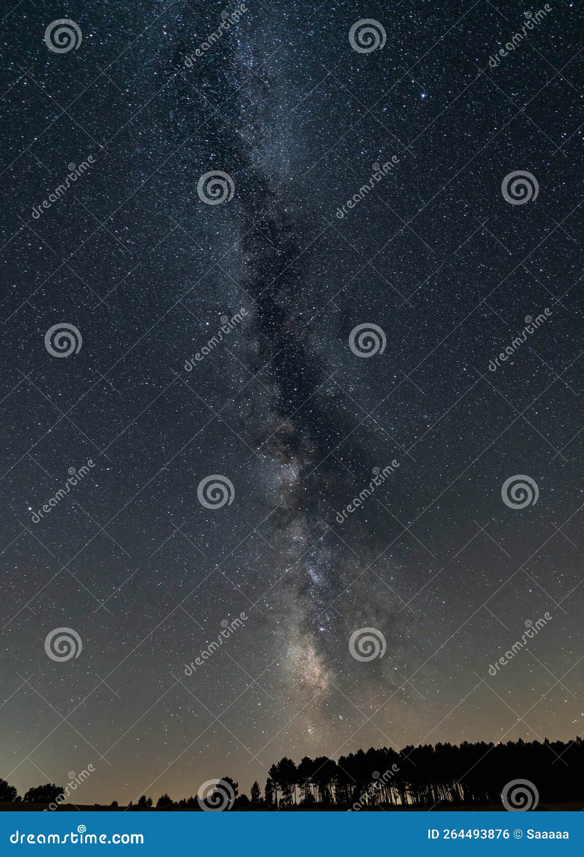 Milky Way Over the Tree Forest Silhouette, Vertical Composition Stock ...