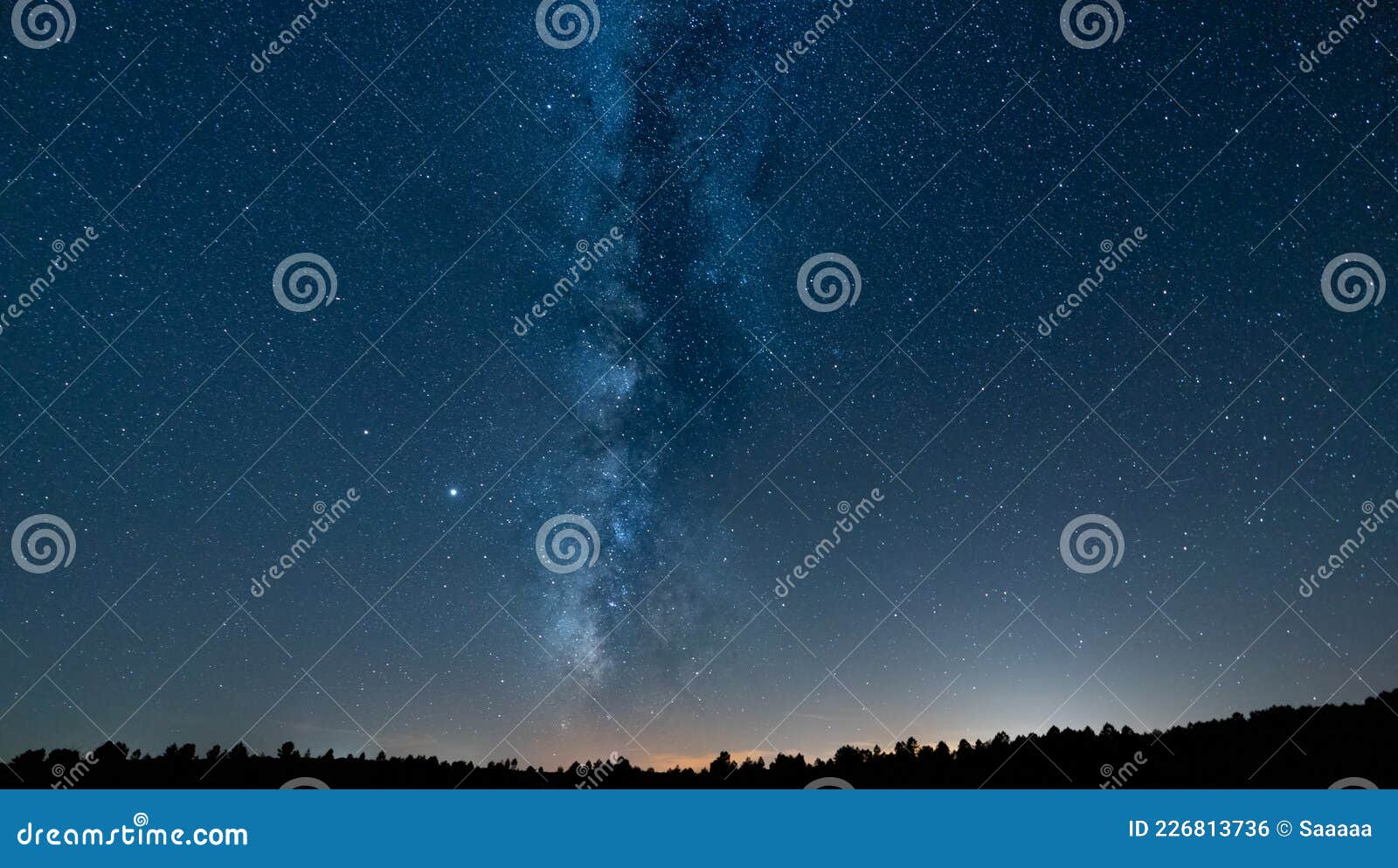 Milky Way Skyline Over the Tree Tops Stock Photo - Image of infinite ...
