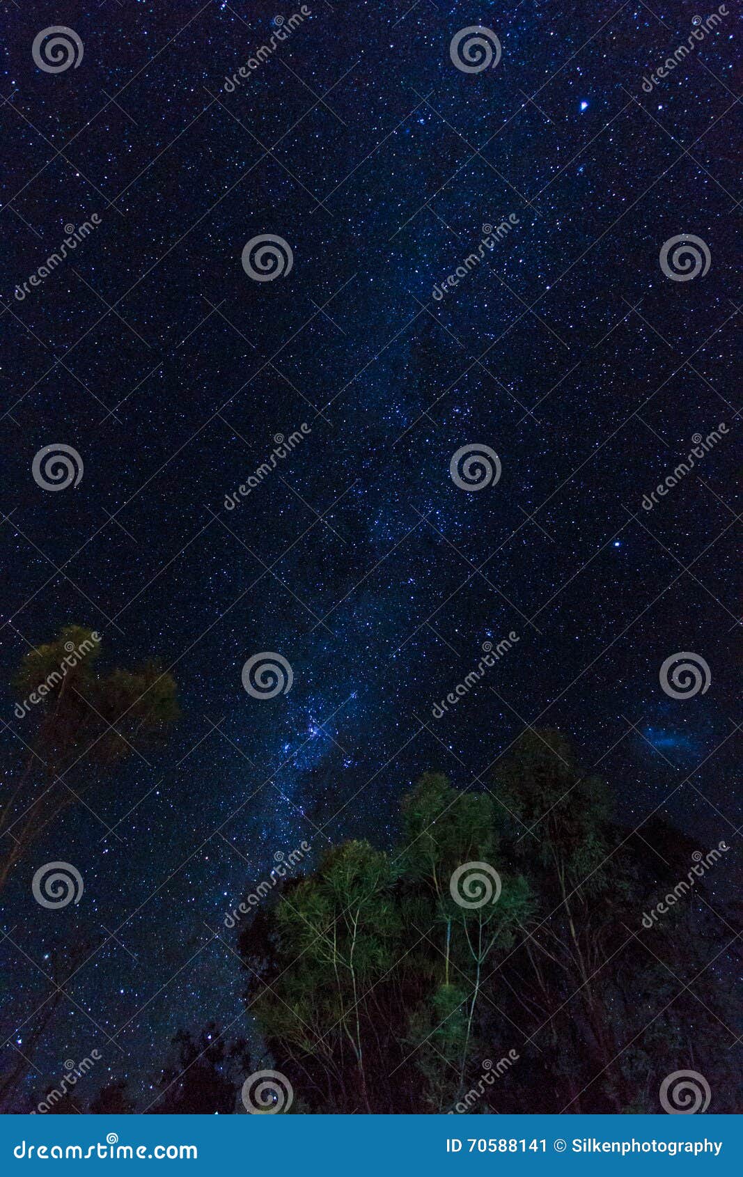Milky Way over Trees stock image. Image of milky, galaxy - 70588141