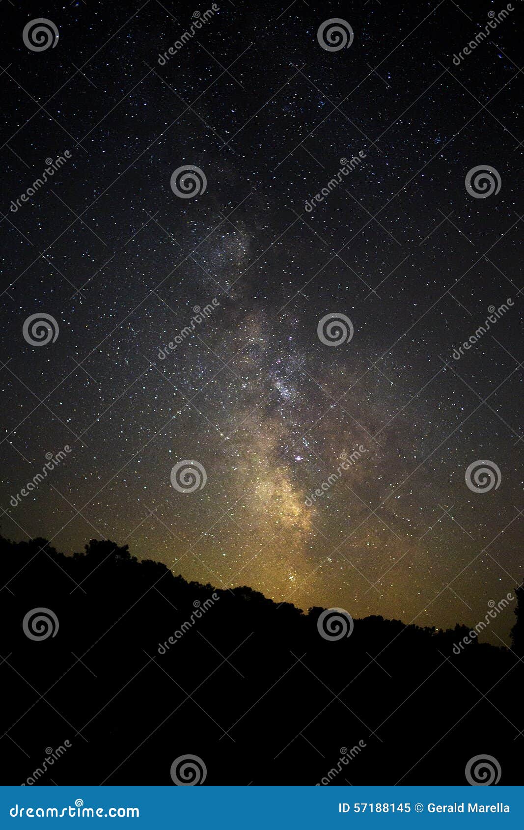 Milky Way Rises Over a Tree Line Stock Image - Image of milkyway, stars ...