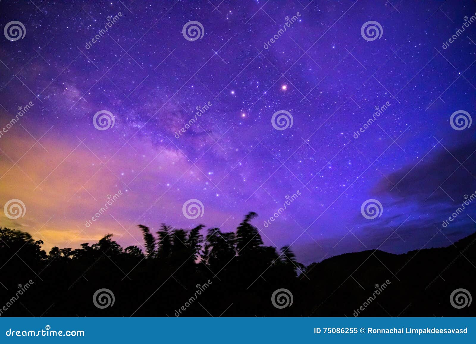 The Milky Way and Some Trees Stock Image - Image of park, rural: 75086255