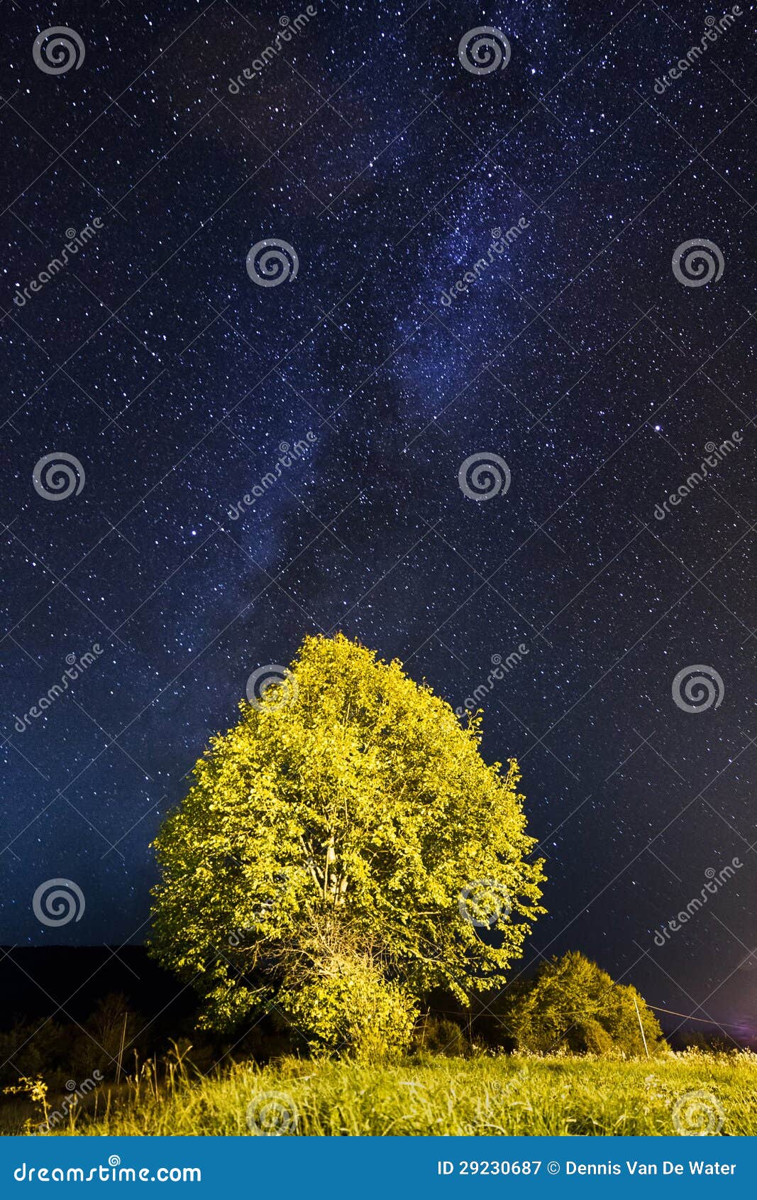 Milky way tree stock image. Image of croatia, scenery - 29230687