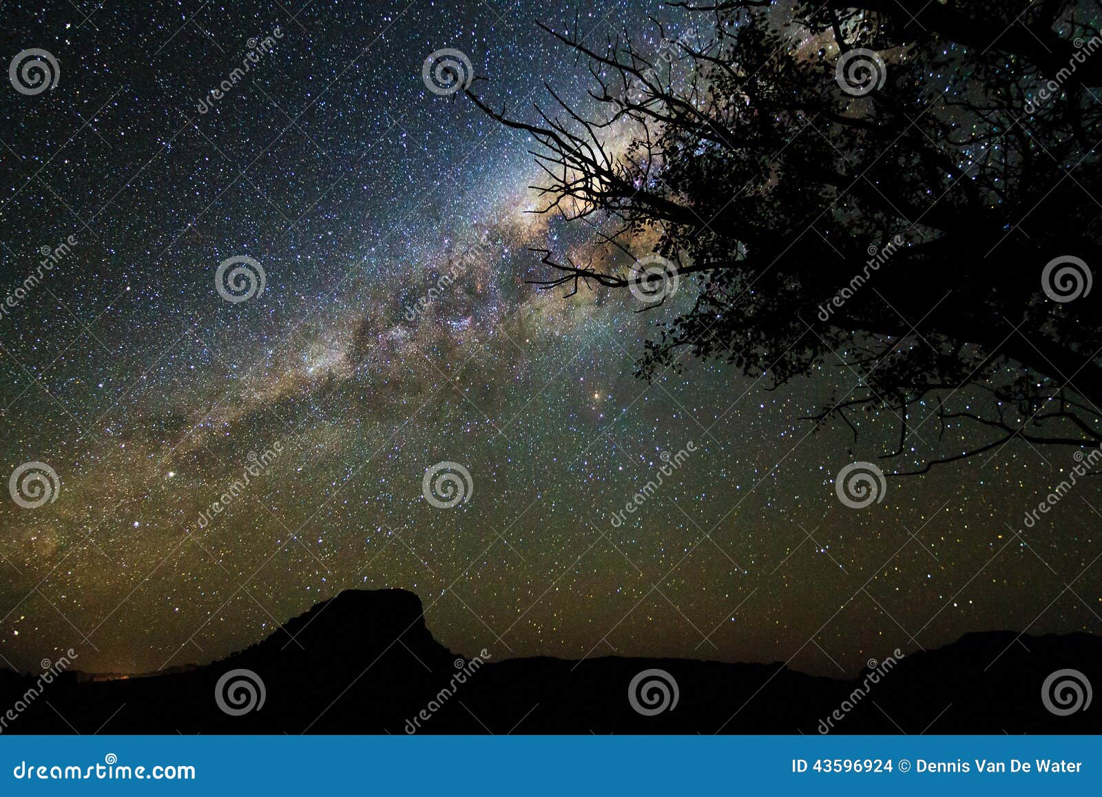 Milky way tree stock photo. Image of beautiful, landscape - 43596924