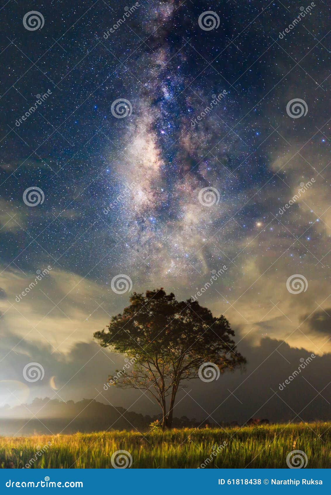 The Milky Way and the Tree Stand Alone Stock Photo - Image of cosmic ...